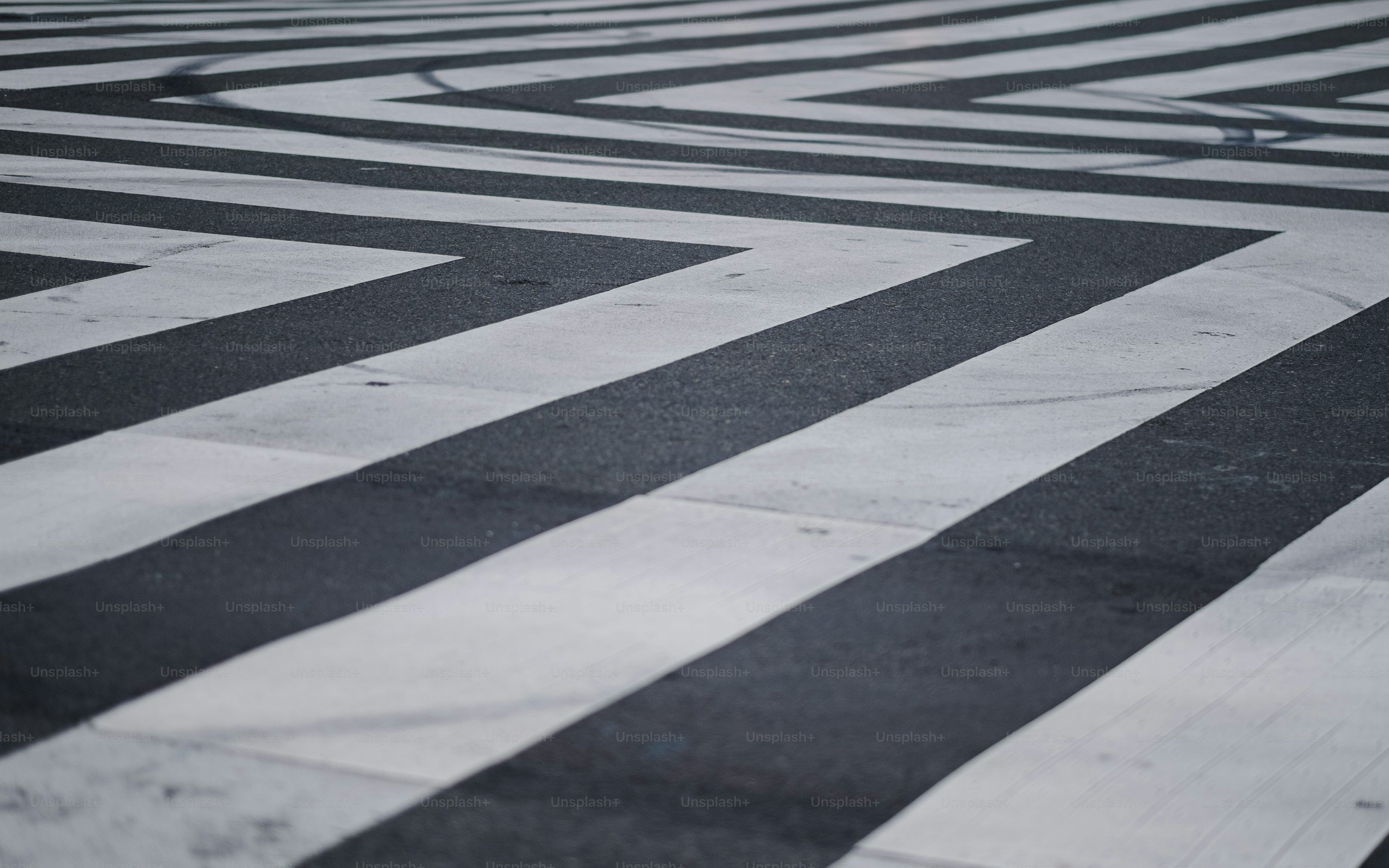 Zebra Crossing Wallpapers - Top Free Zebra Crossing Backgrounds ...