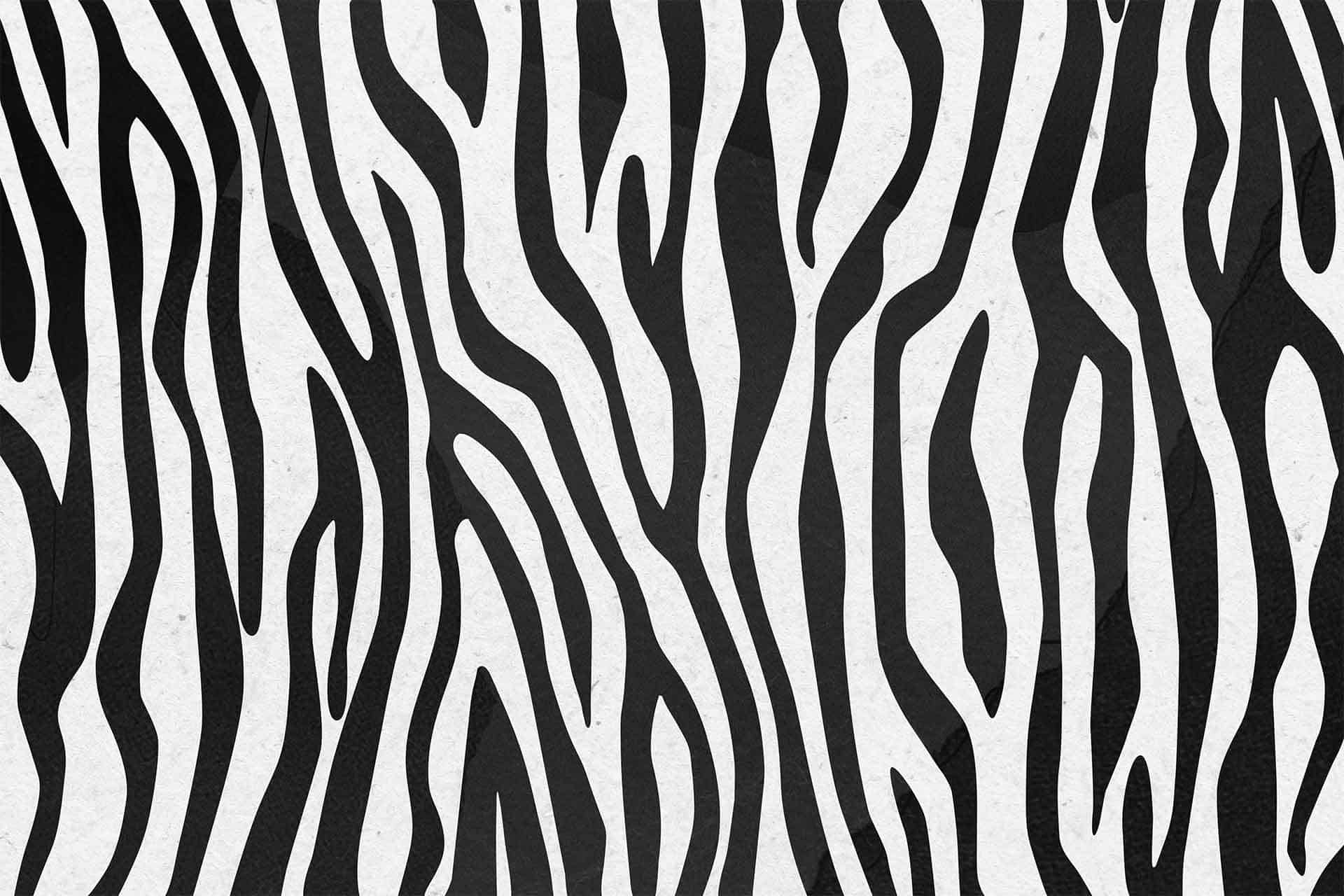 Zebra Crossing Wallpapers - Top Free Zebra Crossing Backgrounds ...