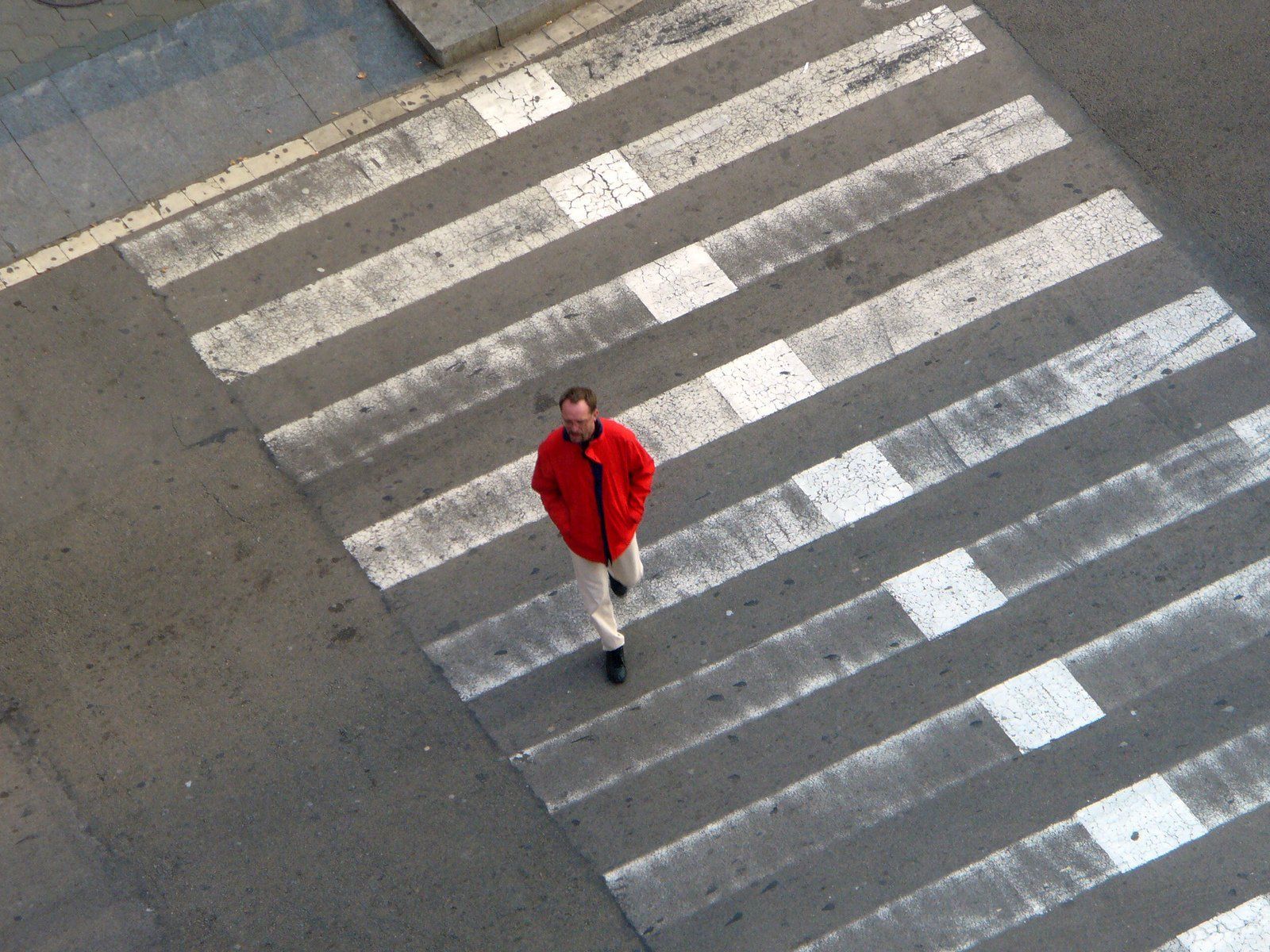 Zebra Crossing Wallpapers - Top Free Zebra Crossing Backgrounds ...