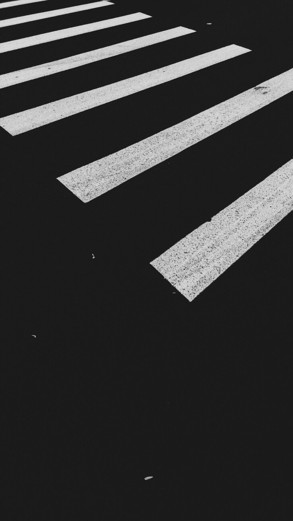 Zebra Crossing Wallpapers - Top Free Zebra Crossing Backgrounds ...