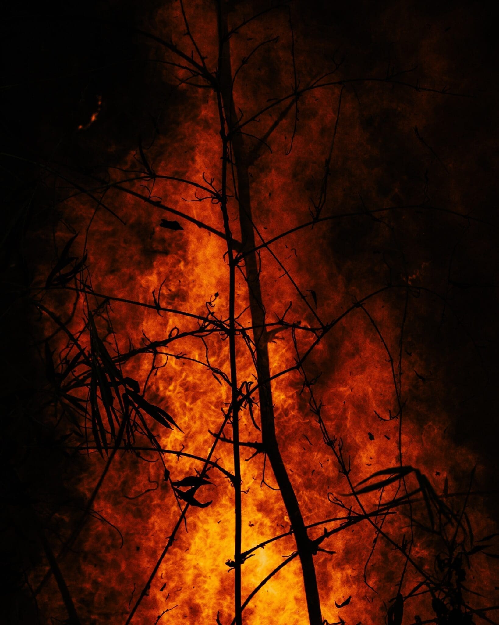 Eternal Fire Wallpapers - Top Free Eternal Fire Backgrounds ...