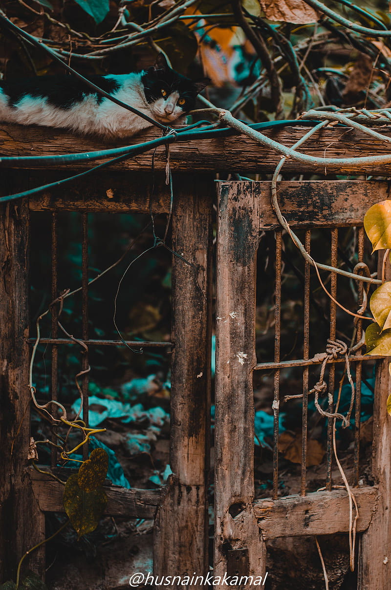 Color Grading Wallpapers - Top Free Color Grading Backgrounds ...