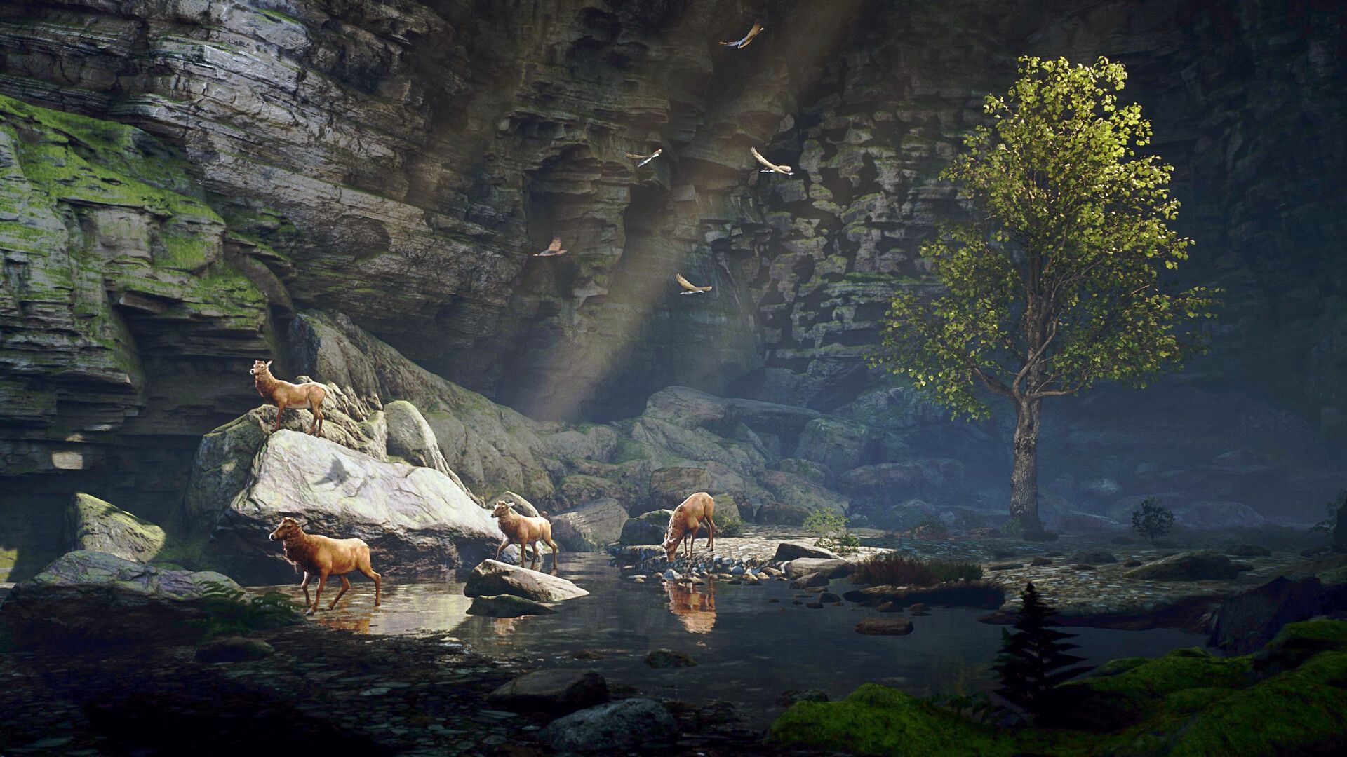 Color Grading Wallpapers - Top Free Color Grading Backgrounds ...