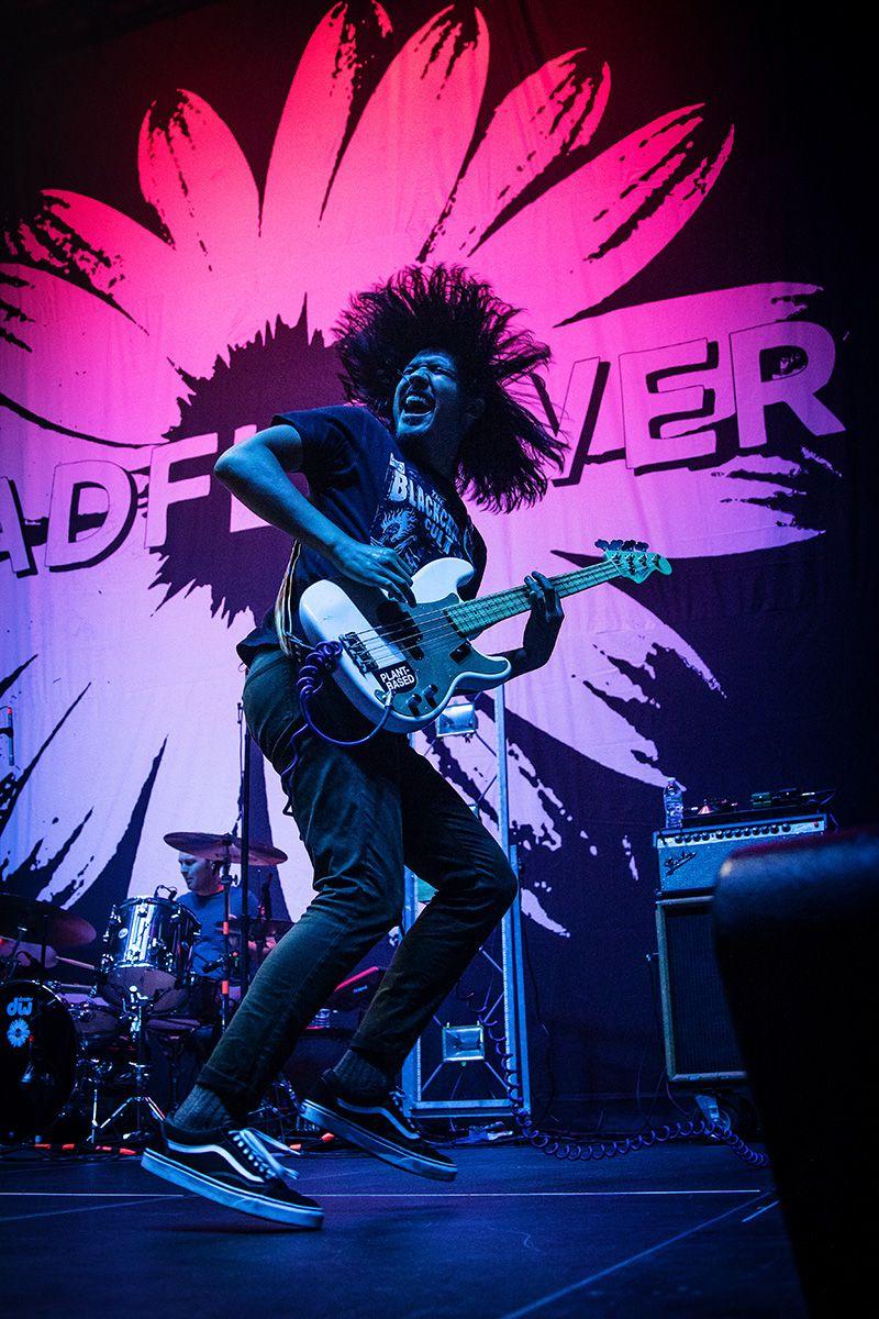 Badflower Wallpapers - Top Free Badflower Backgrounds - WallpaperAccess