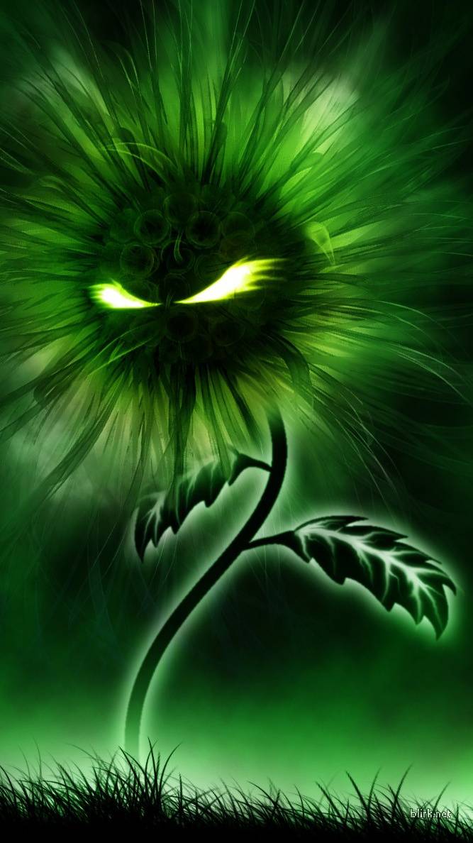 Badflower Wallpapers - Top Free Badflower Backgrounds - WallpaperAccess