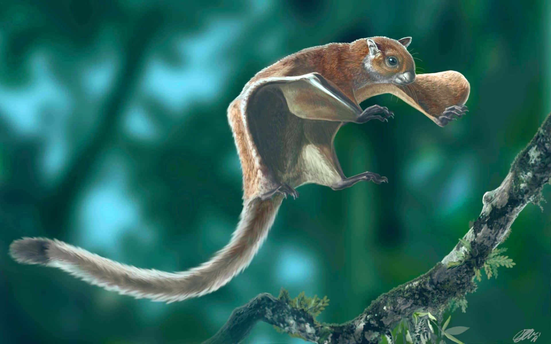 Flying Squirrel Wallpapers - Top Free Flying Squirrel Backgrounds ...