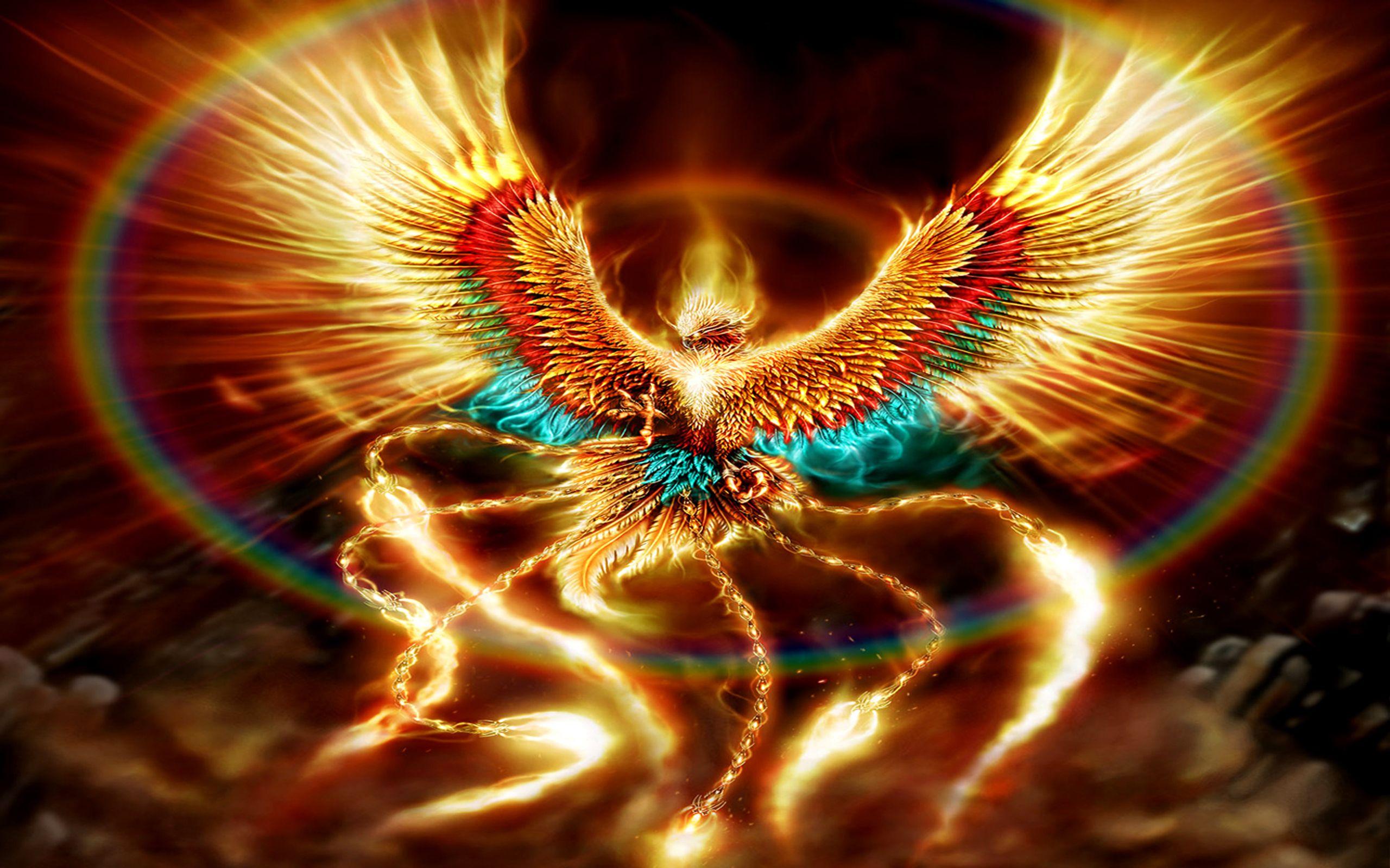 Epic Phoenix Wallpapers - Top Free Epic Phoenix Backgrounds ...