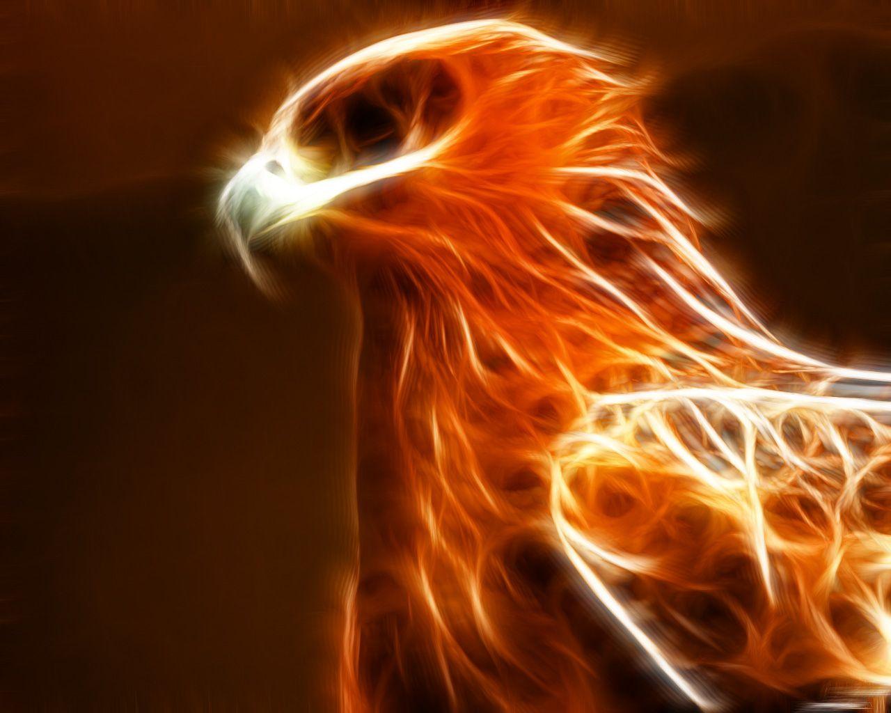 Epic Phoenix Wallpapers - Top Free Epic Phoenix Backgrounds ...