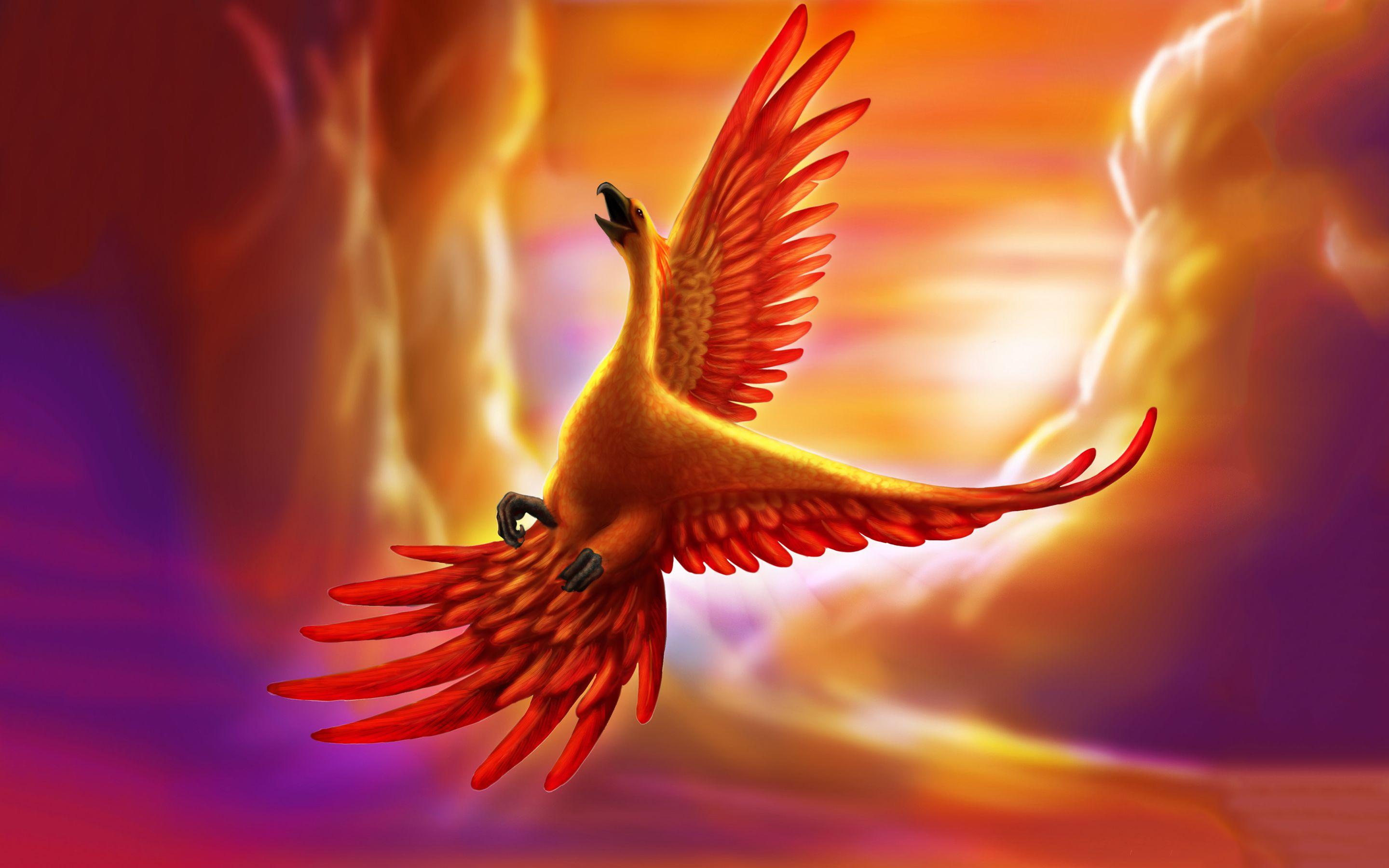 Epic Phoenix Wallpapers - Top Free Epic Phoenix Backgrounds ...