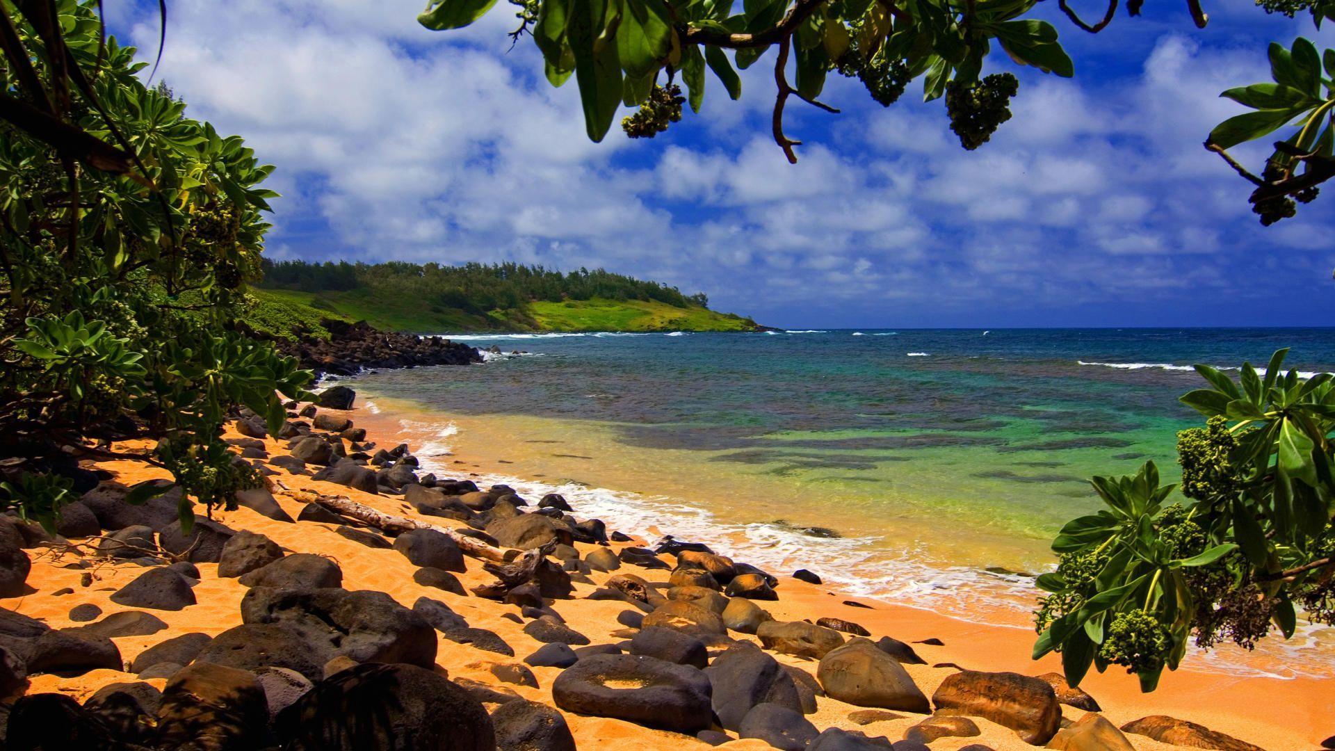 Kauai Hawaii Wallpapers - Top Free Kauai Hawaii Backgrounds ...