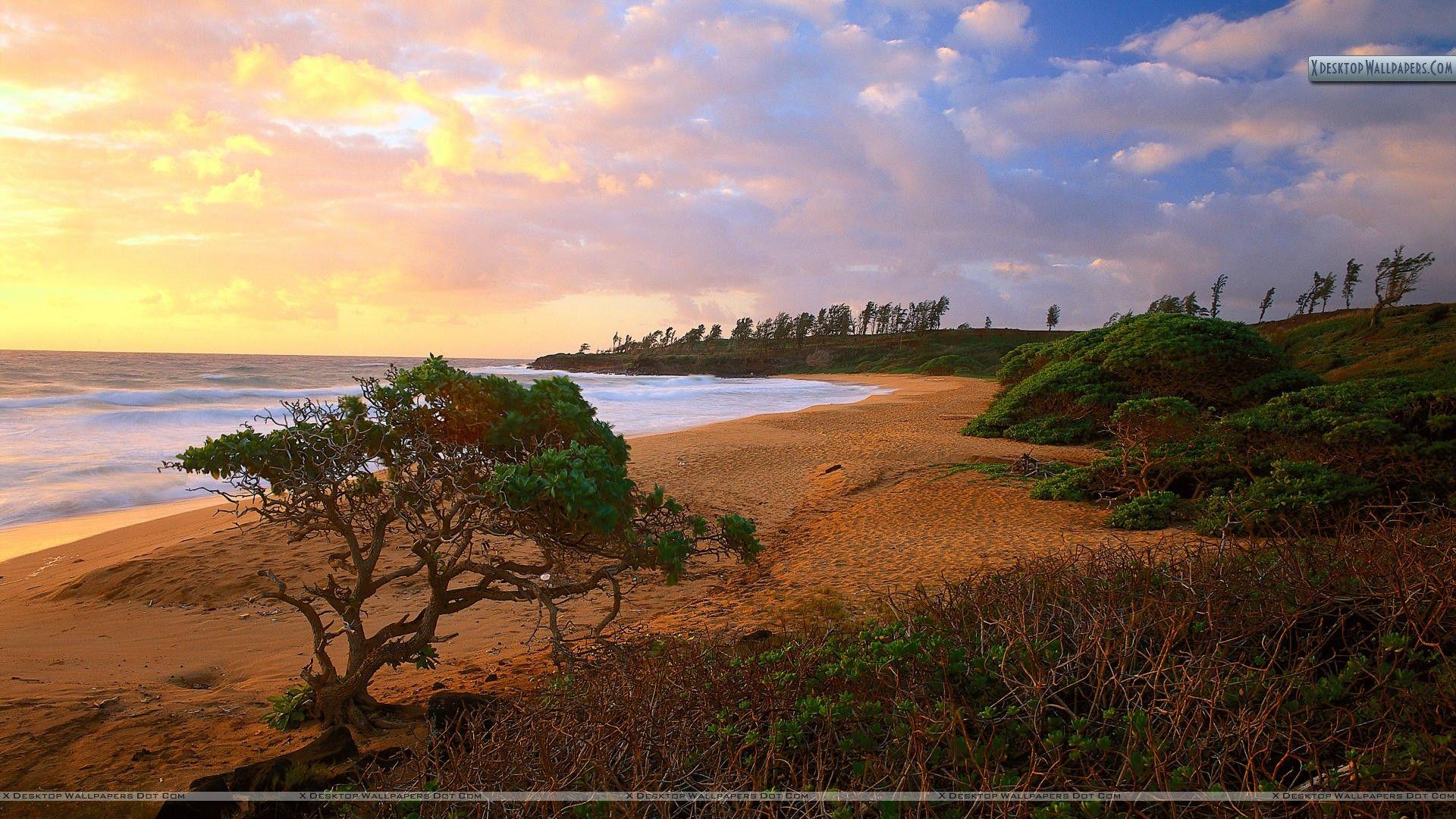 Kauai Wallpapers - Top Free Kauai Backgrounds - WallpaperAccess