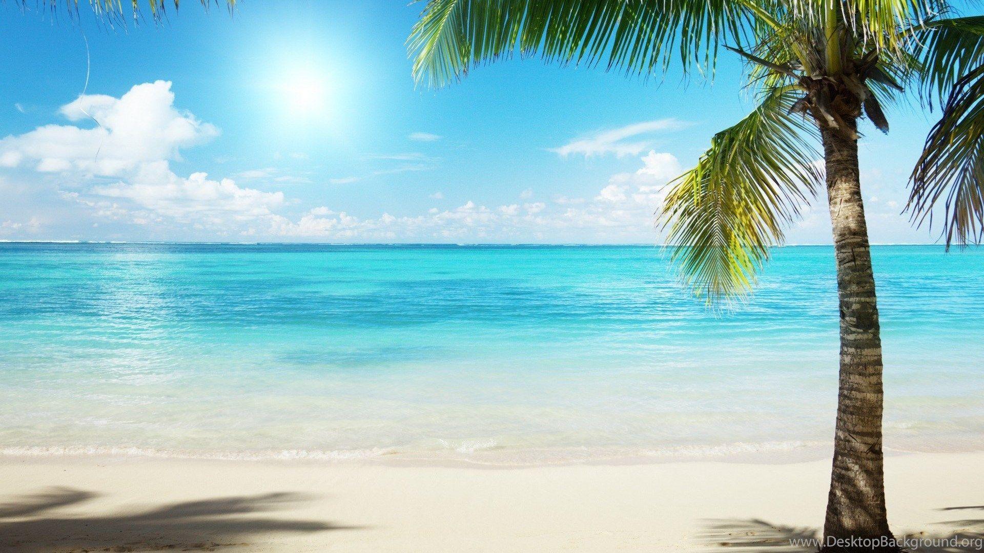 Key West Wallpapers - Top Free Key West Backgrounds - WallpaperAccess