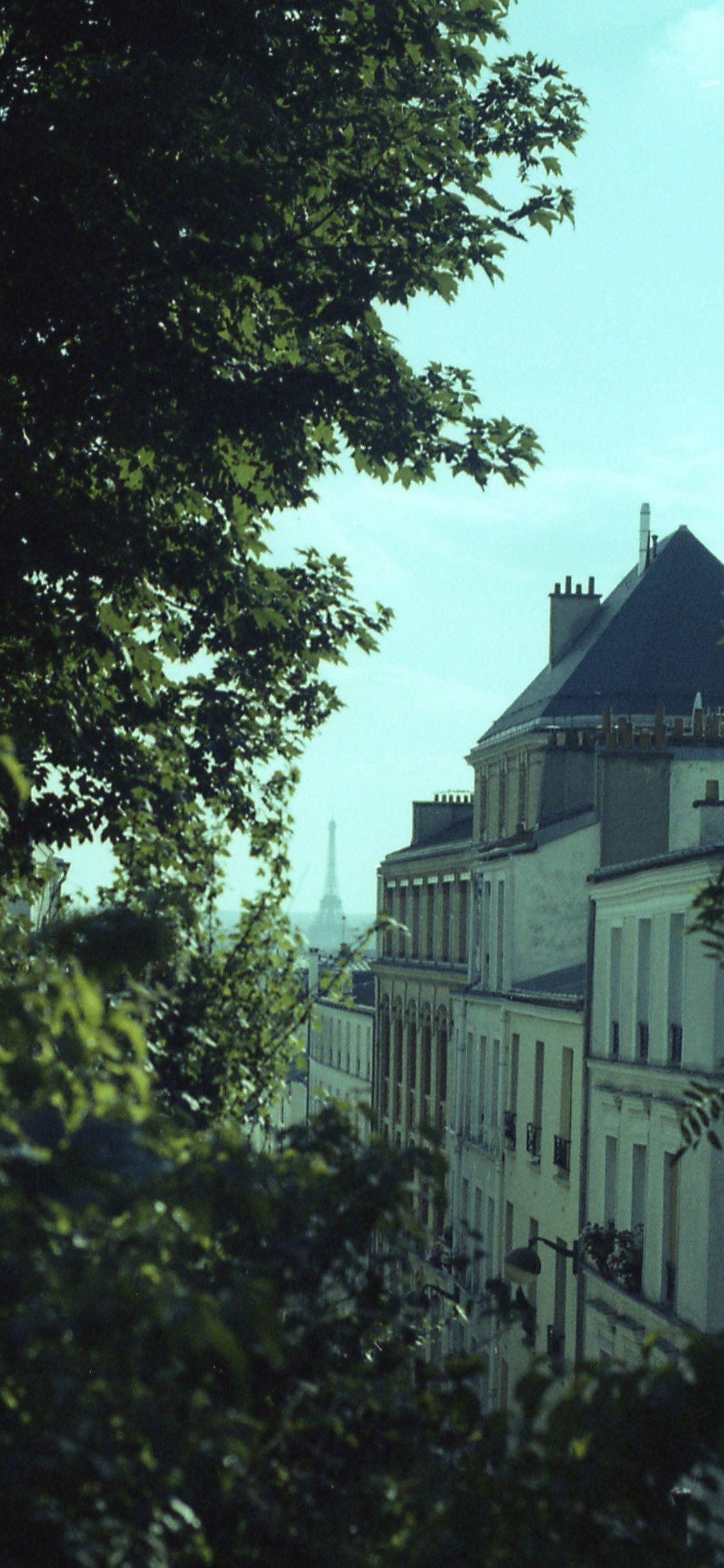 35mm Wallpapers - Top Free 35mm Backgrounds - WallpaperAccess