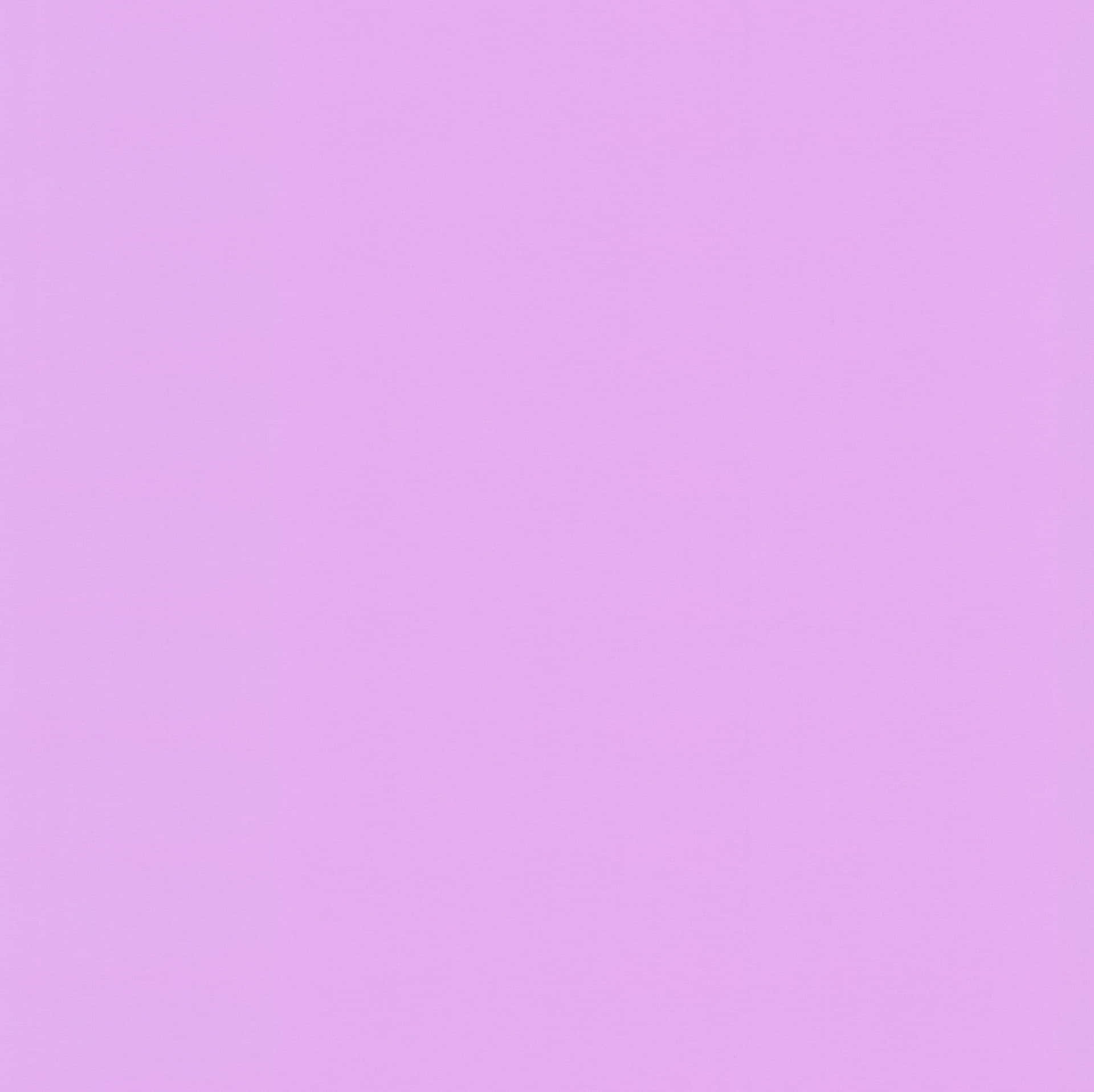Lavender Plain Wallpapers - Top Free Lavender Plain Backgrounds ...