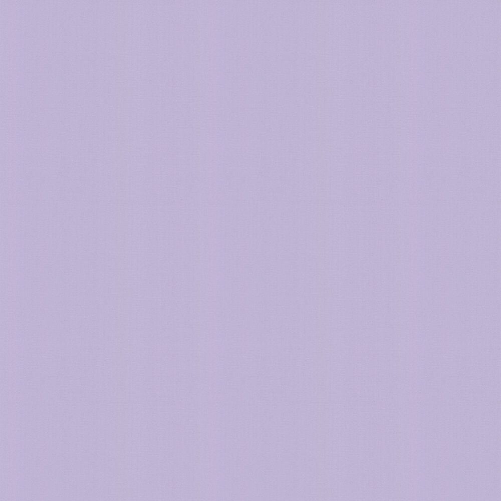 Lavender Plain Wallpapers - Top Free Lavender Plain Backgrounds ...