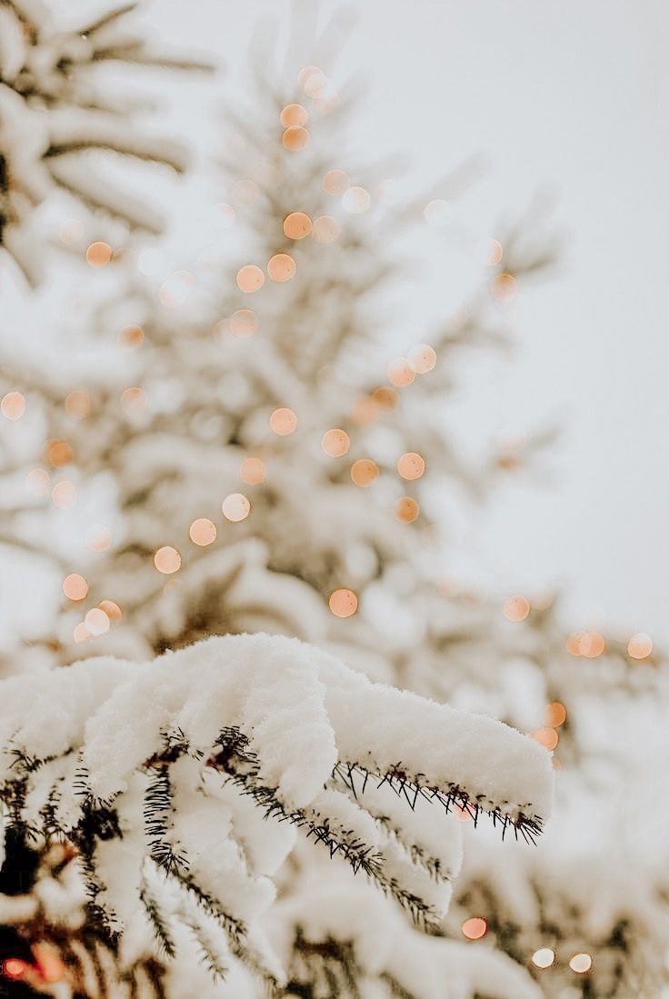 Gold Winter Wallpapers - Top Free Gold Winter Backgrounds - WallpaperAccess