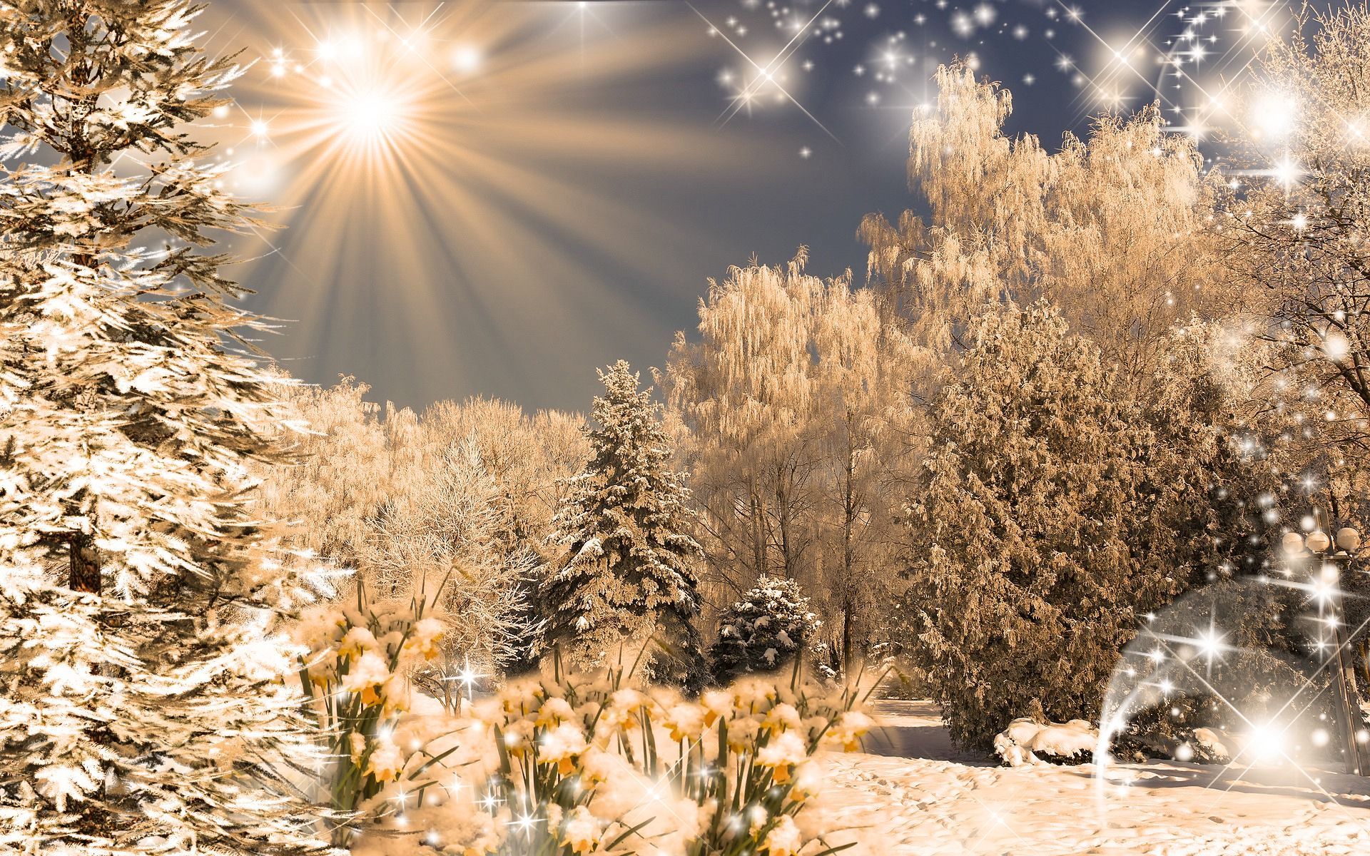 Gold Winter Wallpapers - Top Free Gold Winter Backgrounds - WallpaperAccess
