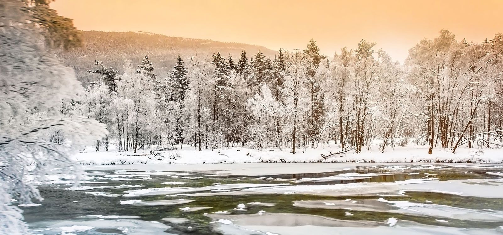 Gold Winter Wallpapers - Top Free Gold Winter Backgrounds - WallpaperAccess