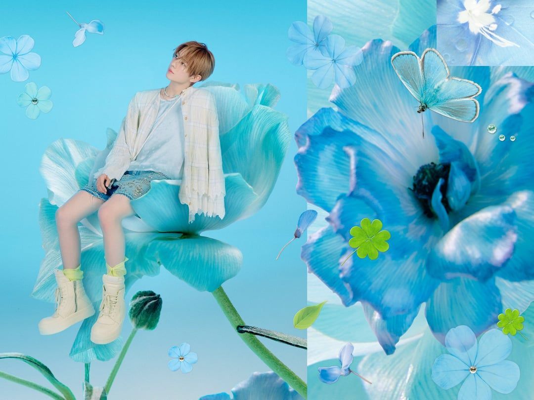 NCT Wish Wallpapers - Top Free NCT Wish Backgrounds - WallpaperAccess