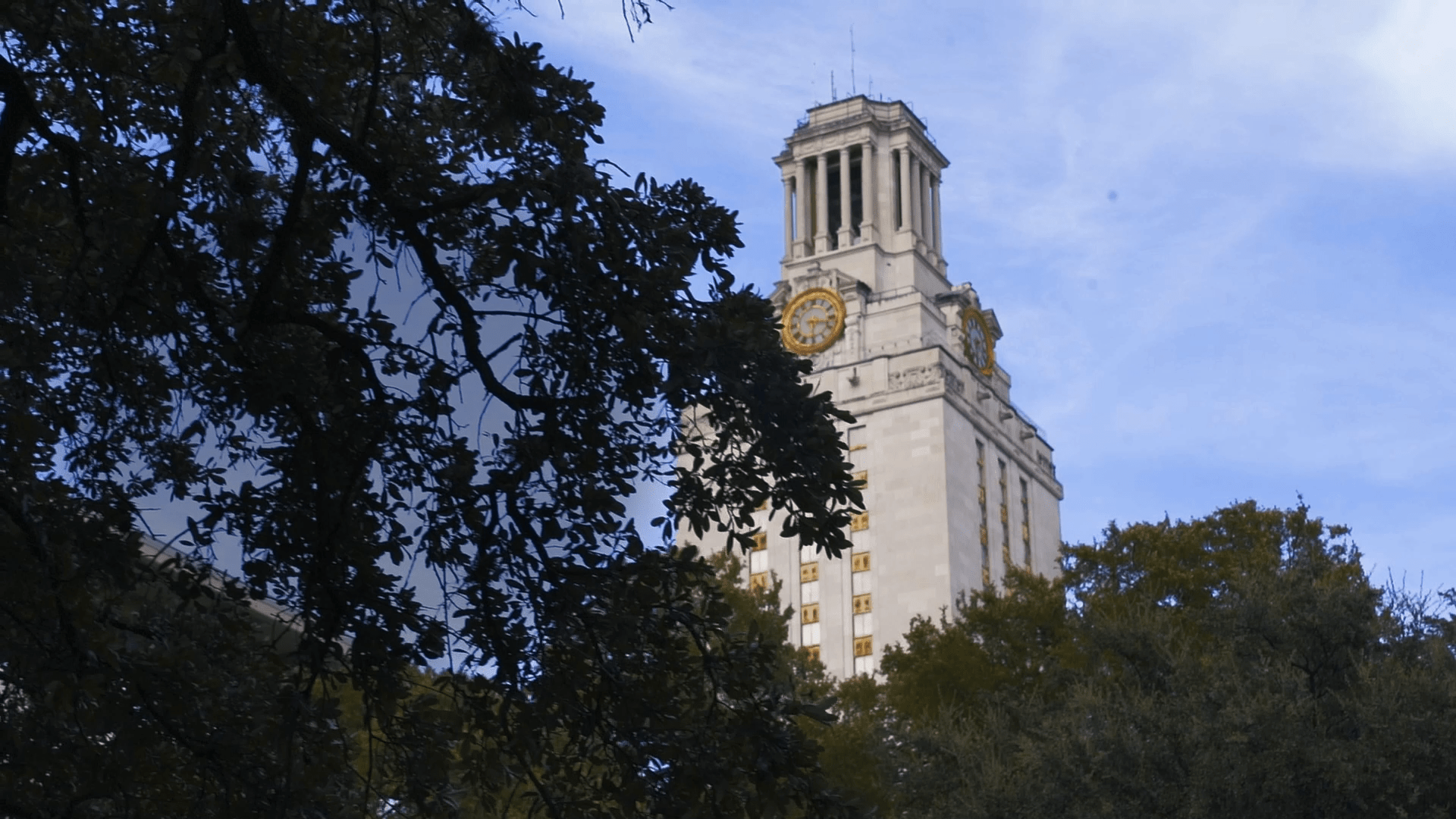 UT Austin Wallpapers - Top Free UT Austin Backgrounds - WallpaperAccess