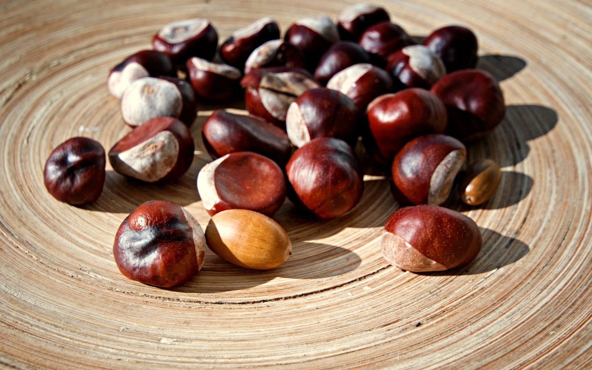 Chestnuts Wallpapers - Top Free Chestnuts Backgrounds - WallpaperAccess