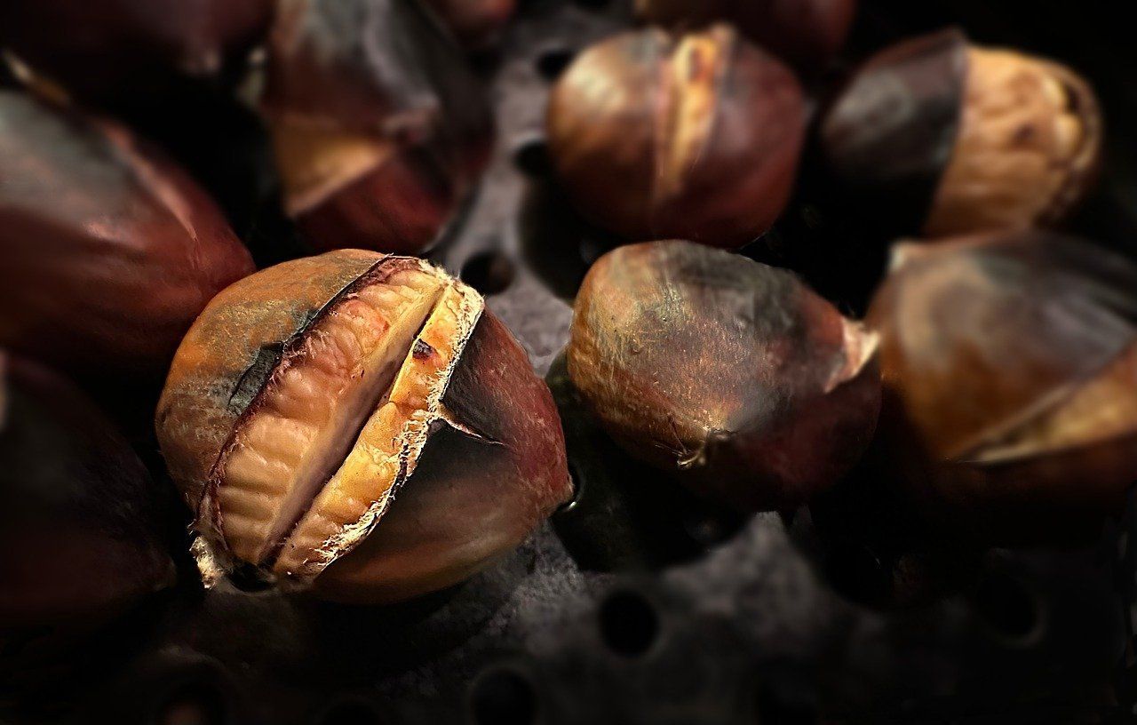 Chestnuts Wallpapers - Top Free Chestnuts Backgrounds - WallpaperAccess