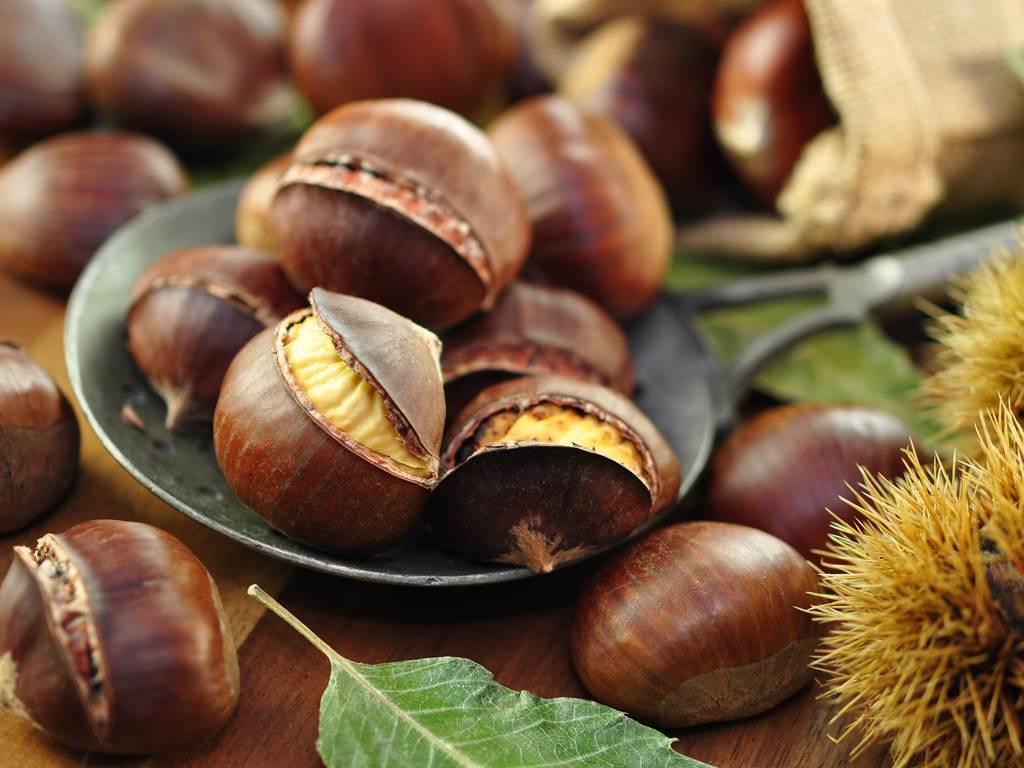 Chestnuts Wallpapers - Top Free Chestnuts Backgrounds - WallpaperAccess