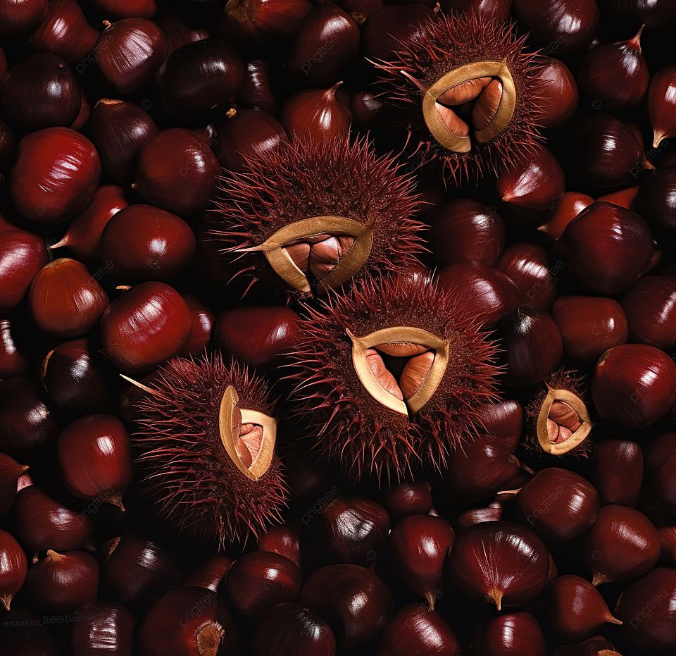 Chestnuts Wallpapers - Top Free Chestnuts Backgrounds - WallpaperAccess