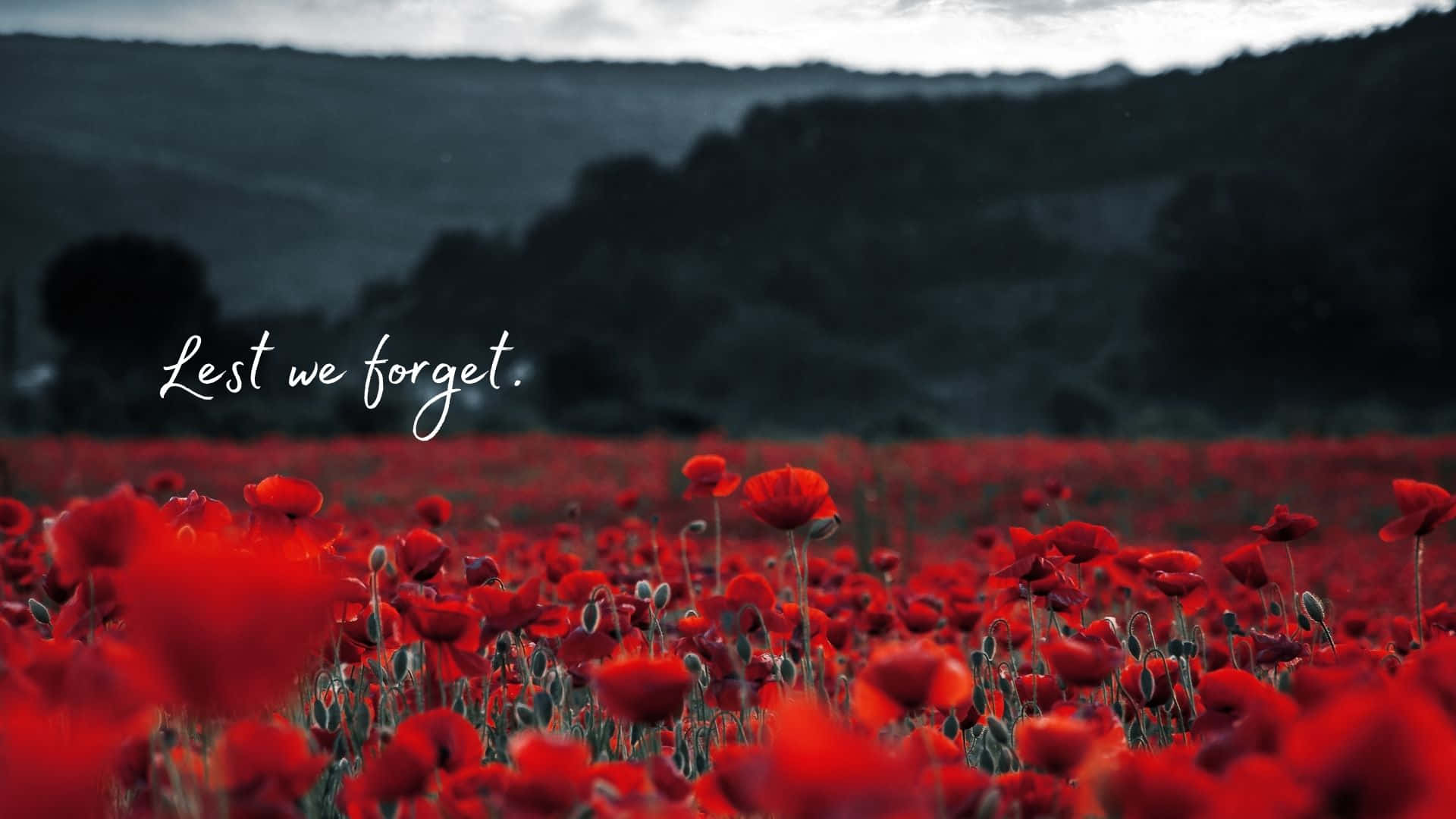 Lest We Forget Wallpapers - Top Free Lest We Forget Backgrounds ...
