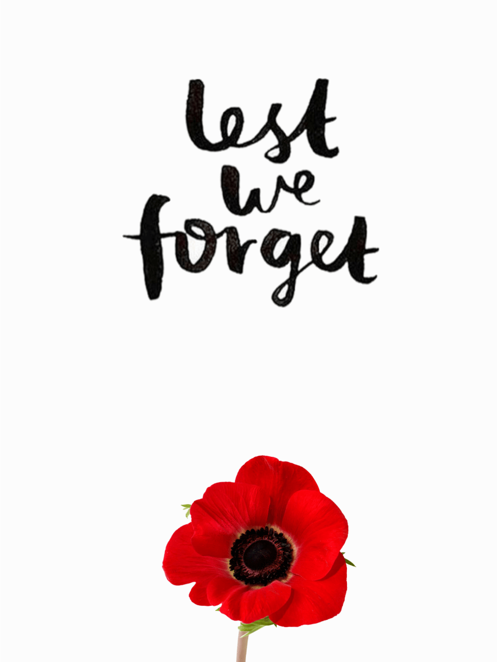 Lest We Forget Wallpapers - Top Free Lest We Forget Backgrounds ...