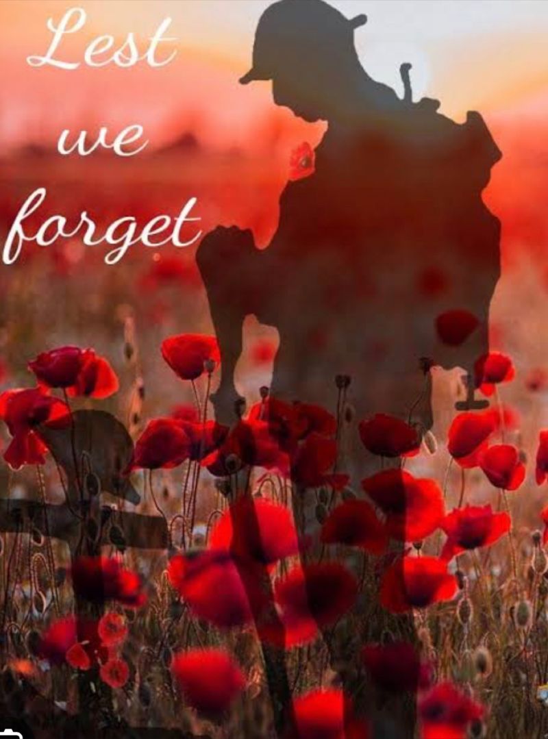 Lest We Forget Wallpapers - Top Free Lest We Forget Backgrounds ...