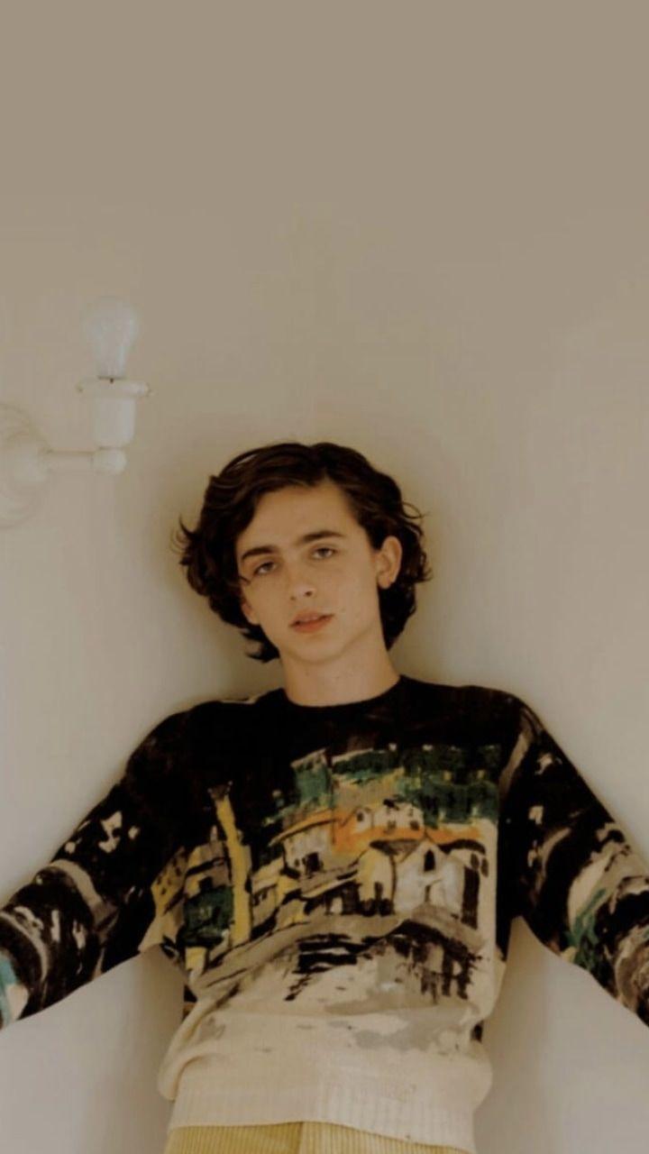 Timothée Chalamet Wallpapers - Top Free Timothée Chalamet Backgrounds ...