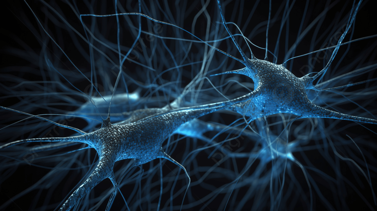 Nervous System Wallpapers - Top Free Nervous System Backgrounds ...