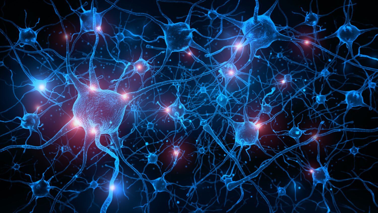 Nervous System Wallpapers - Top Free Nervous System Backgrounds ...