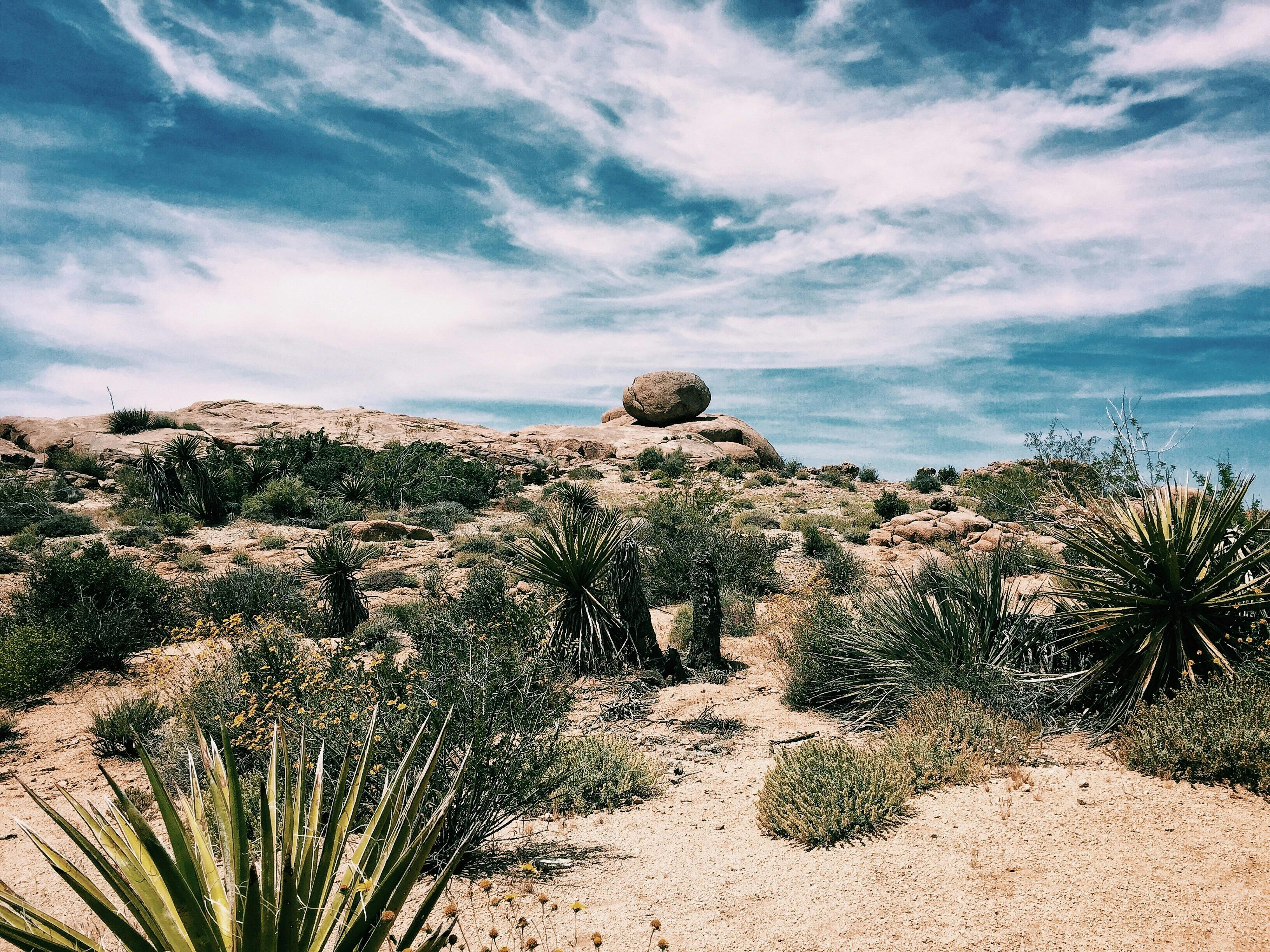 American Desert Wallpapers - Top Free American Desert Backgrounds ...