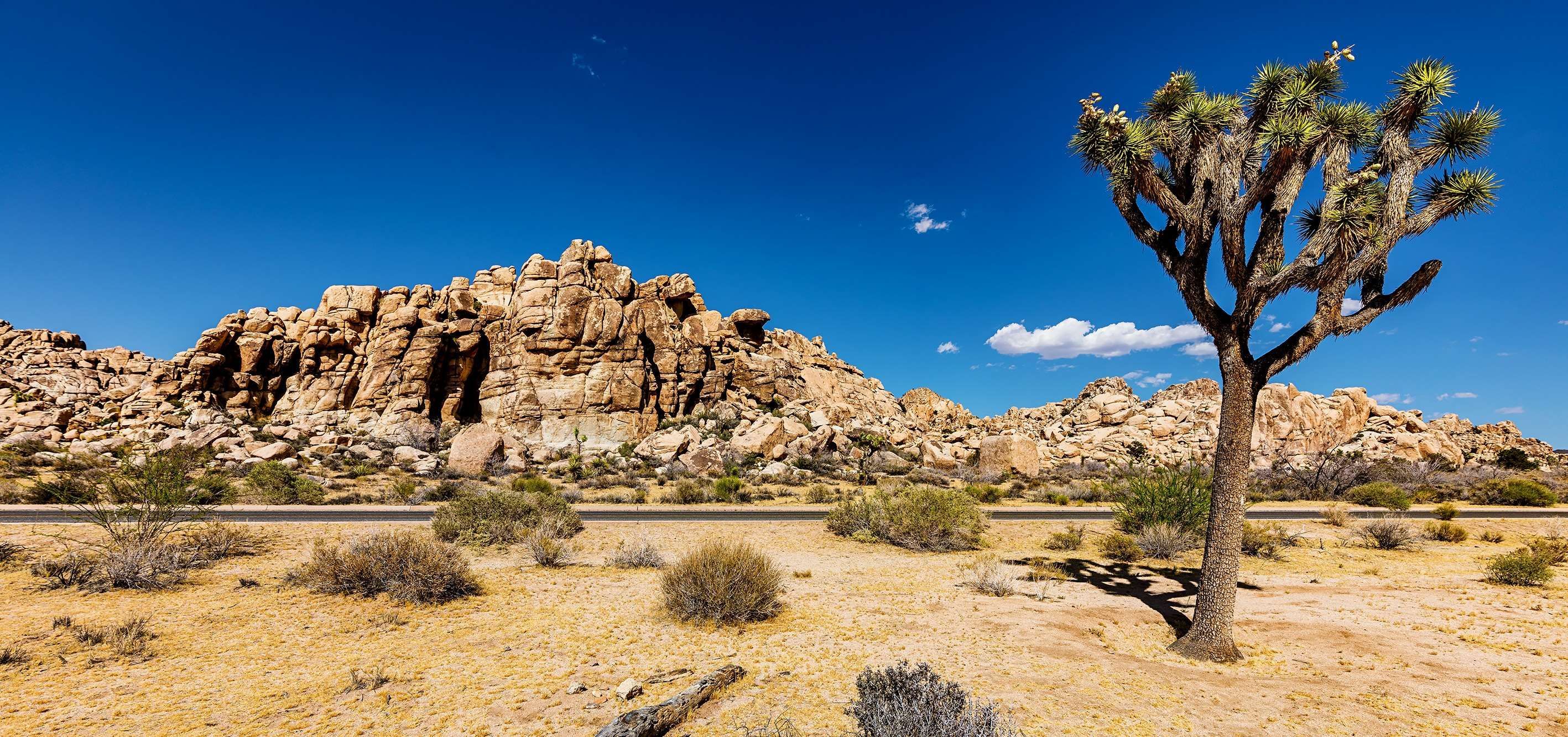 American Desert Wallpapers - Top Free American Desert Backgrounds ...