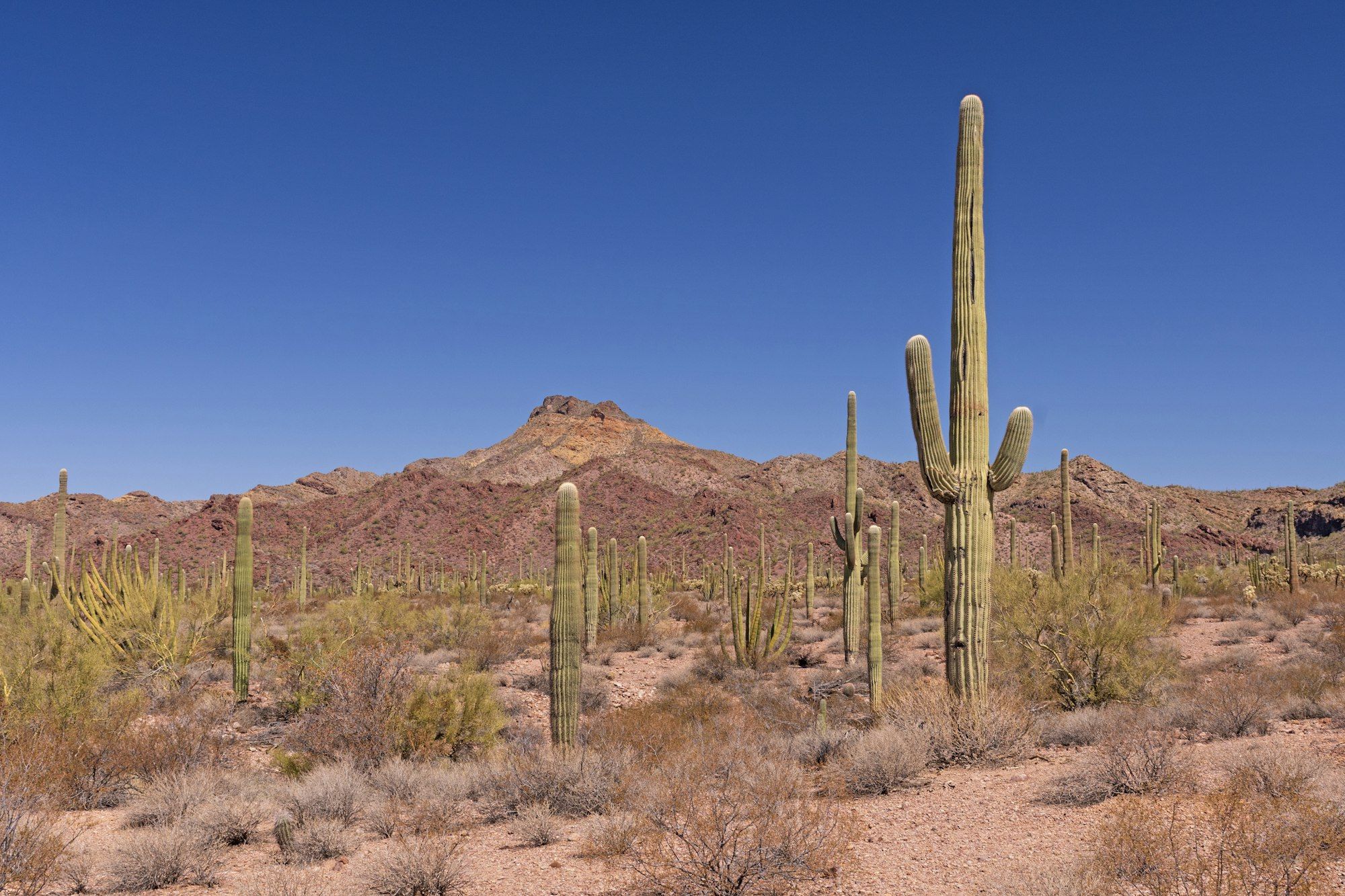 American Desert Wallpapers - Top Free American Desert Backgrounds ...