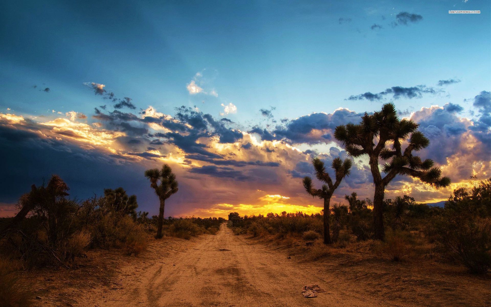 American Desert Wallpapers - Top Free American Desert Backgrounds ...