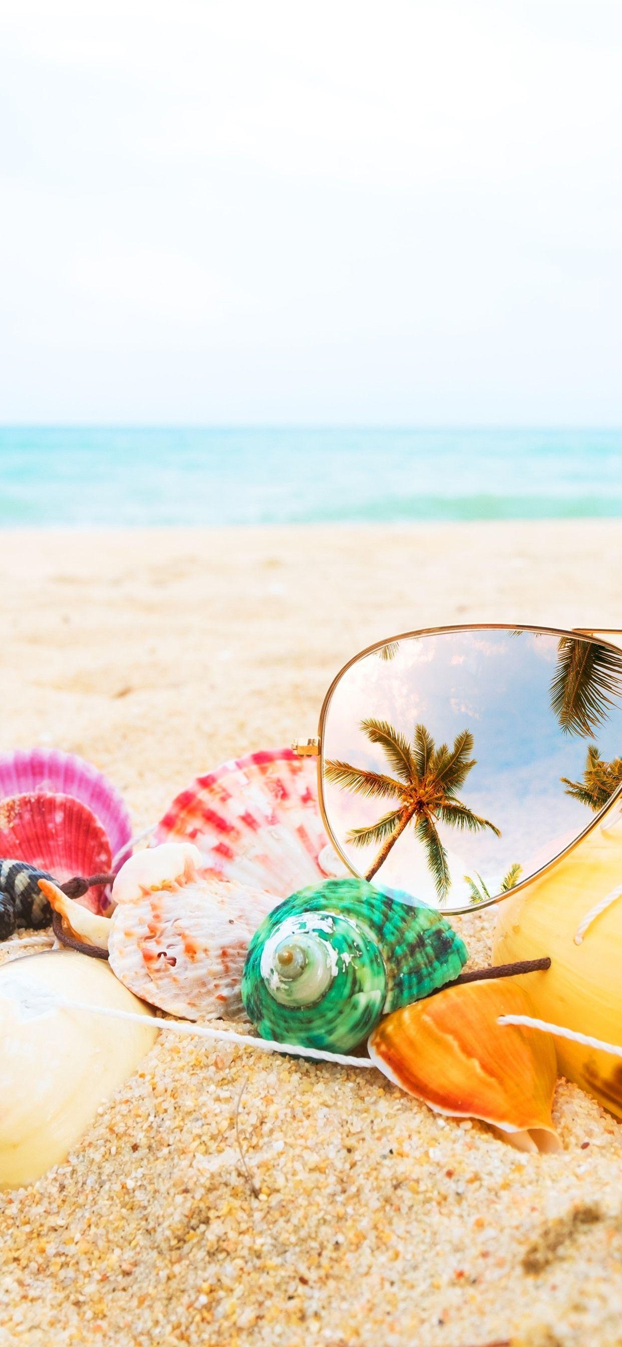 Seashell Wallpapers - Top Free Seashell Backgrounds - WallpaperAccess