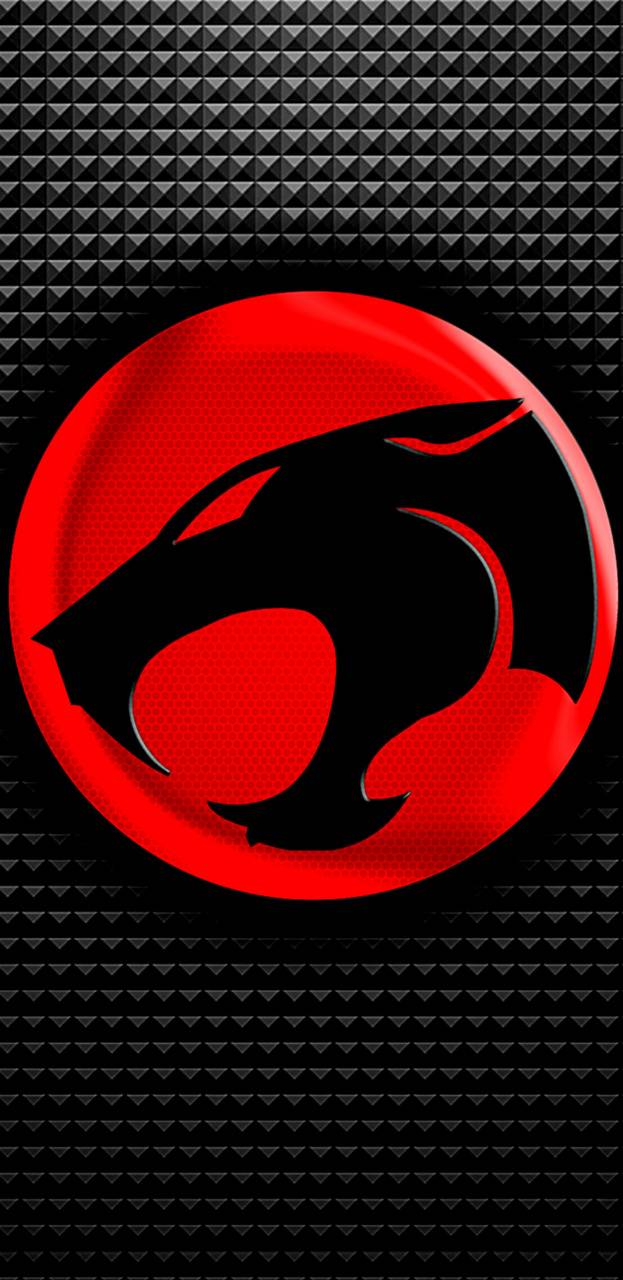 Thundercats Wallpapers - Top Free Thundercats Backgrounds - WallpaperAccess