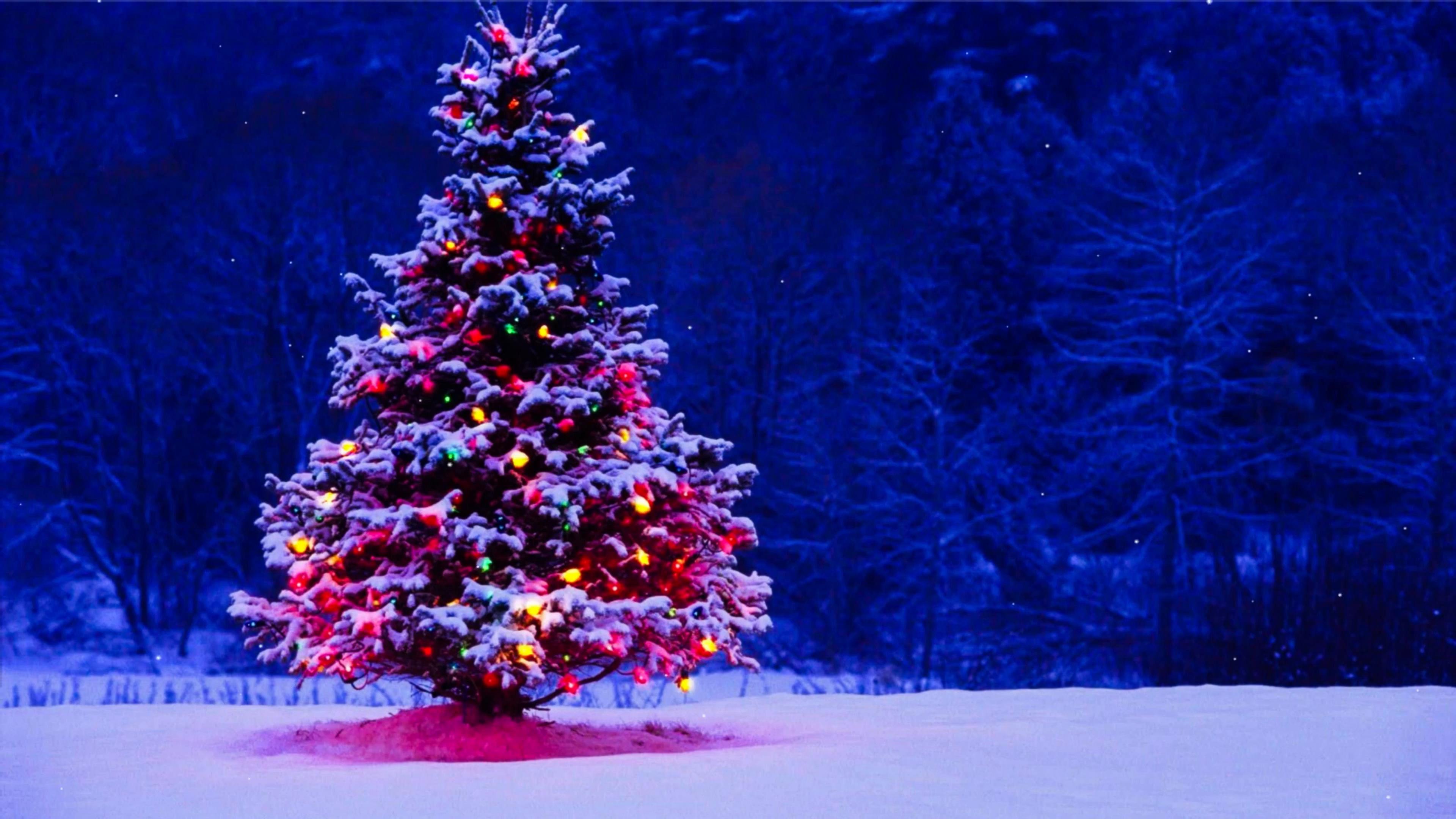 Moving Christmas Wallpapers - Top Free Moving Christmas Backgrounds ...