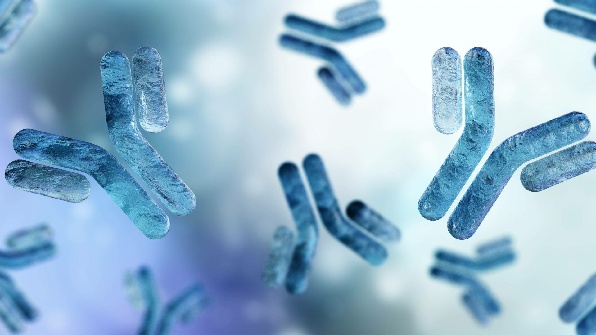 Antibody Wallpapers - Top Free Antibody Backgrounds - WallpaperAccess