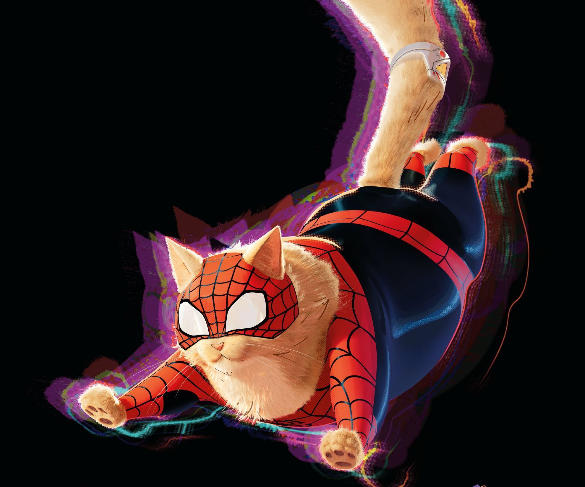 Spider Cat Wallpapers - Top Free Spider Cat Backgrounds - WallpaperAccess