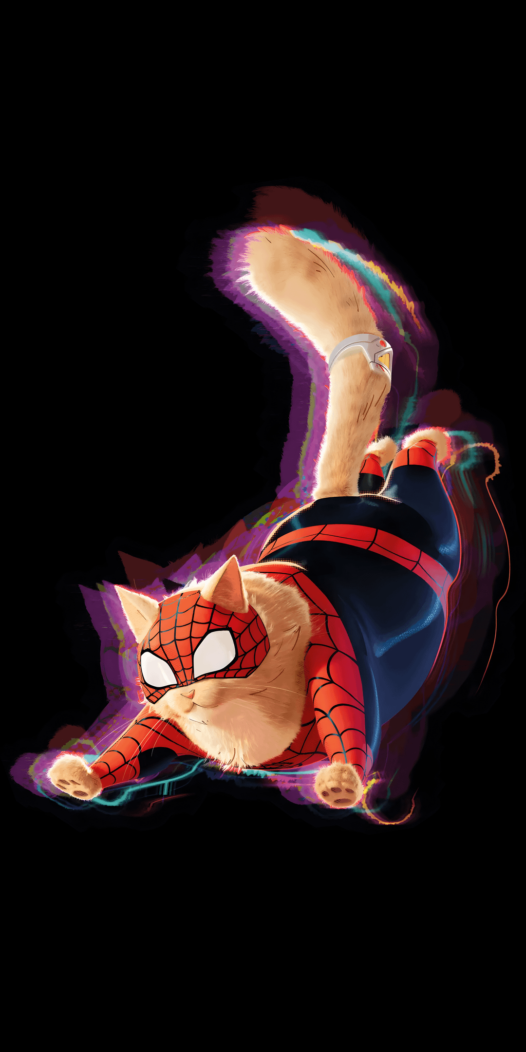 Spider Cat Wallpapers - Top Free Spider Cat Backgrounds - WallpaperAccess