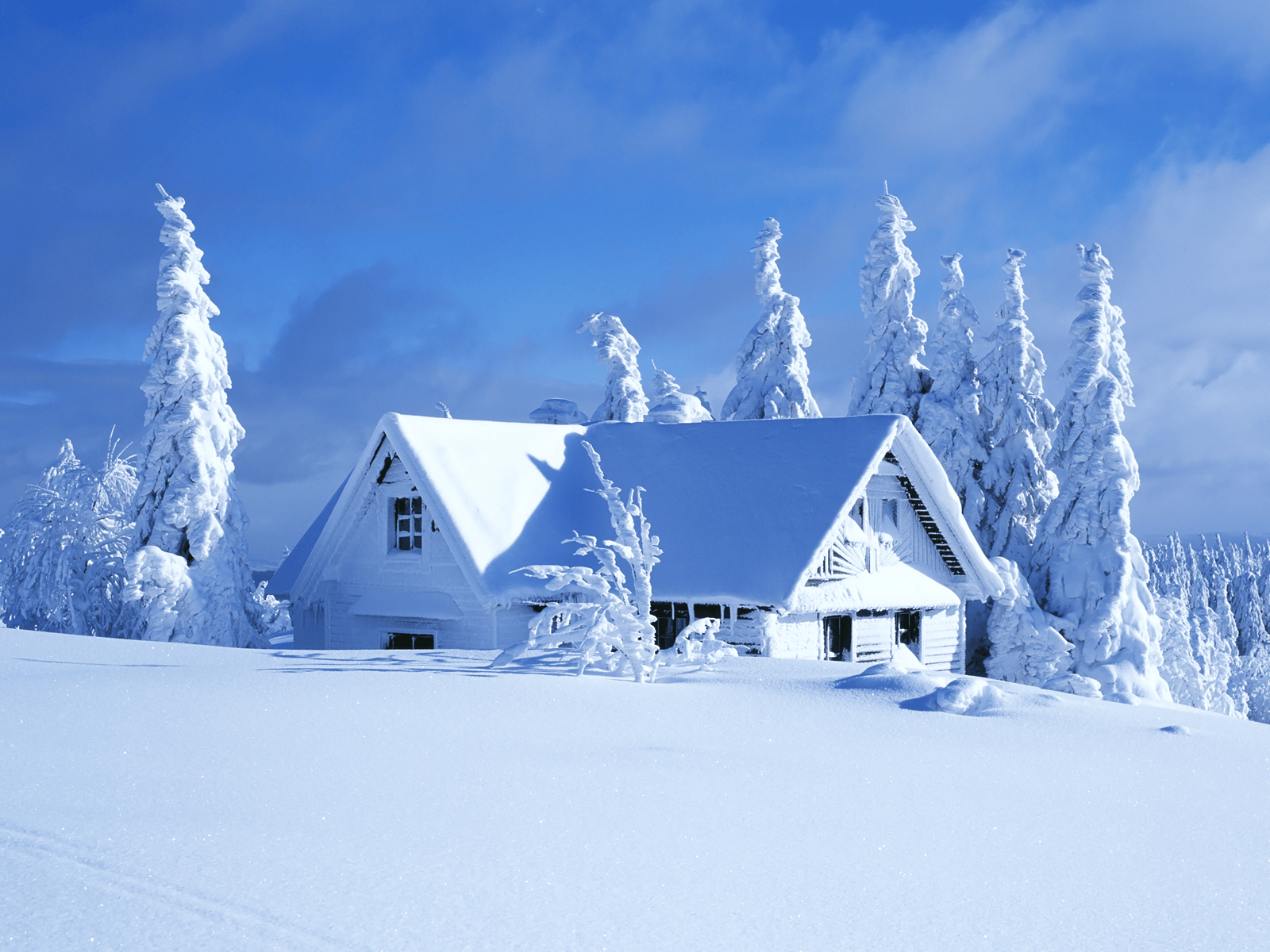 Snowfall Wallpapers - Top Free Snowfall Backgrounds - WallpaperAccess