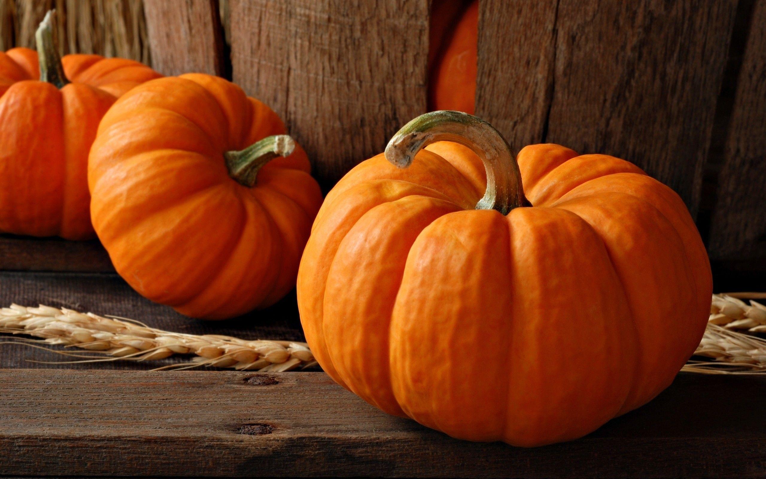 Pumpkin Tumblr Wallpapers - Top Free Pumpkin Tumblr Backgrounds ...