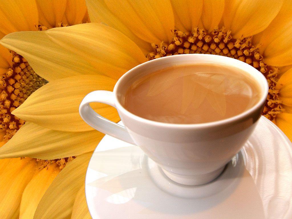 Tea Wallpapers - Top Free Tea Backgrounds - WallpaperAccess