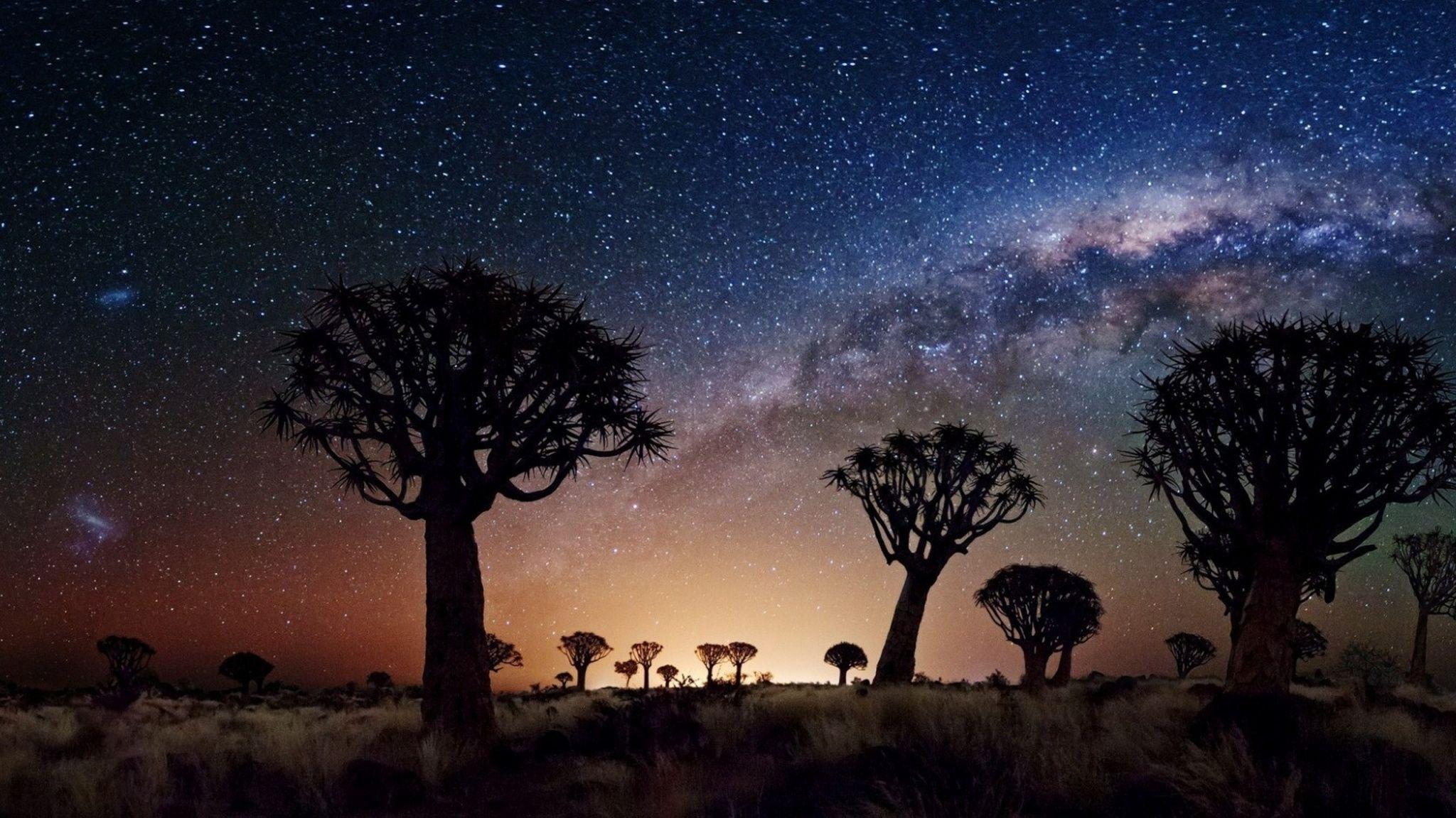 Joshua Tree Wallpapers - Top Free Joshua Tree Backgrounds - WallpaperAccess