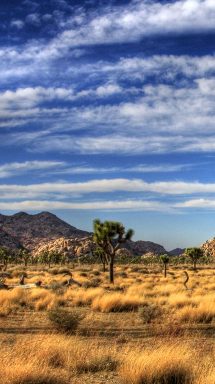 Joshua Tree Wallpapers - Top Free Joshua Tree Backgrounds - WallpaperAccess
