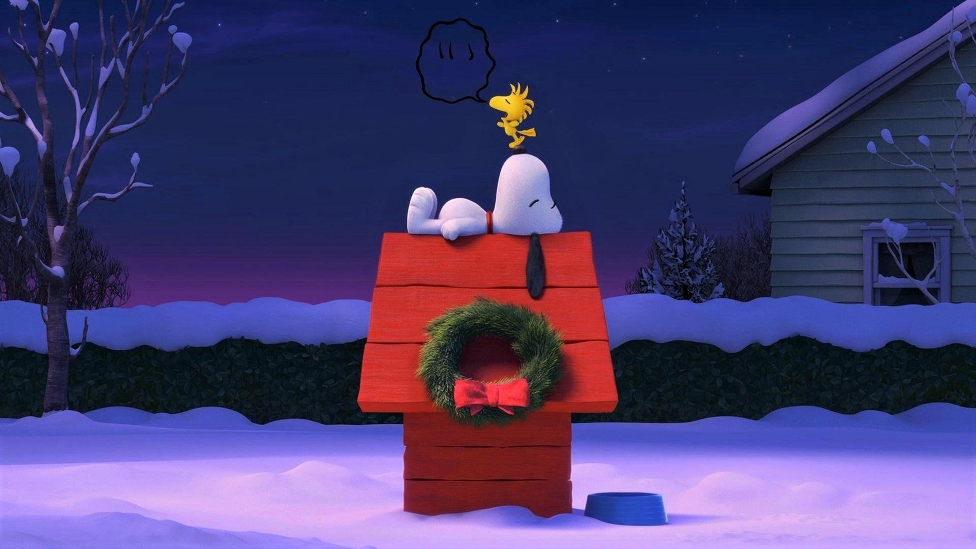Snoopy Winter Wallpapers - Top Free Snoopy Winter Backgrounds ...